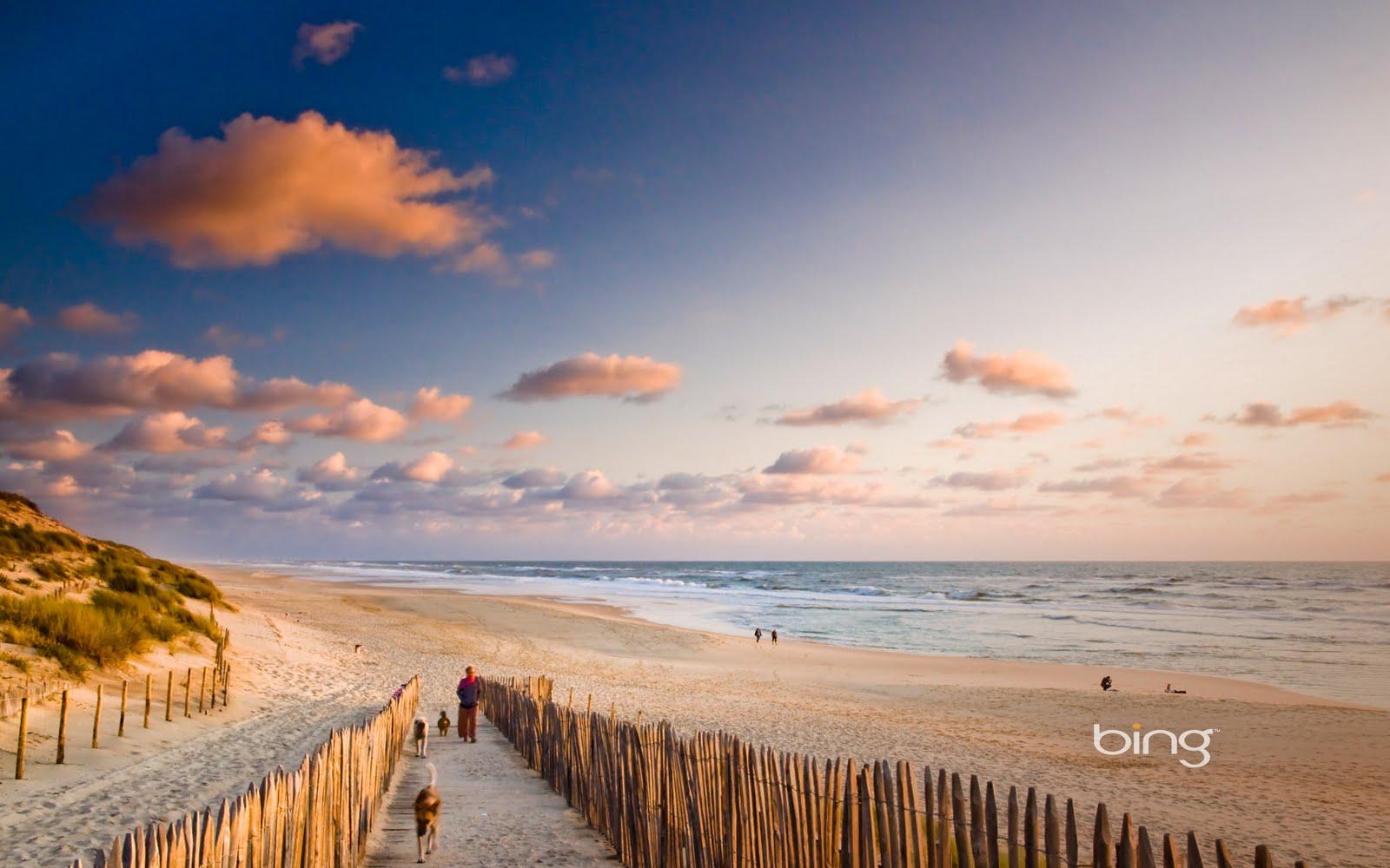 Bing Daily Wallpapers - Top Free Bing Daily Backgrounds - WallpaperAccess