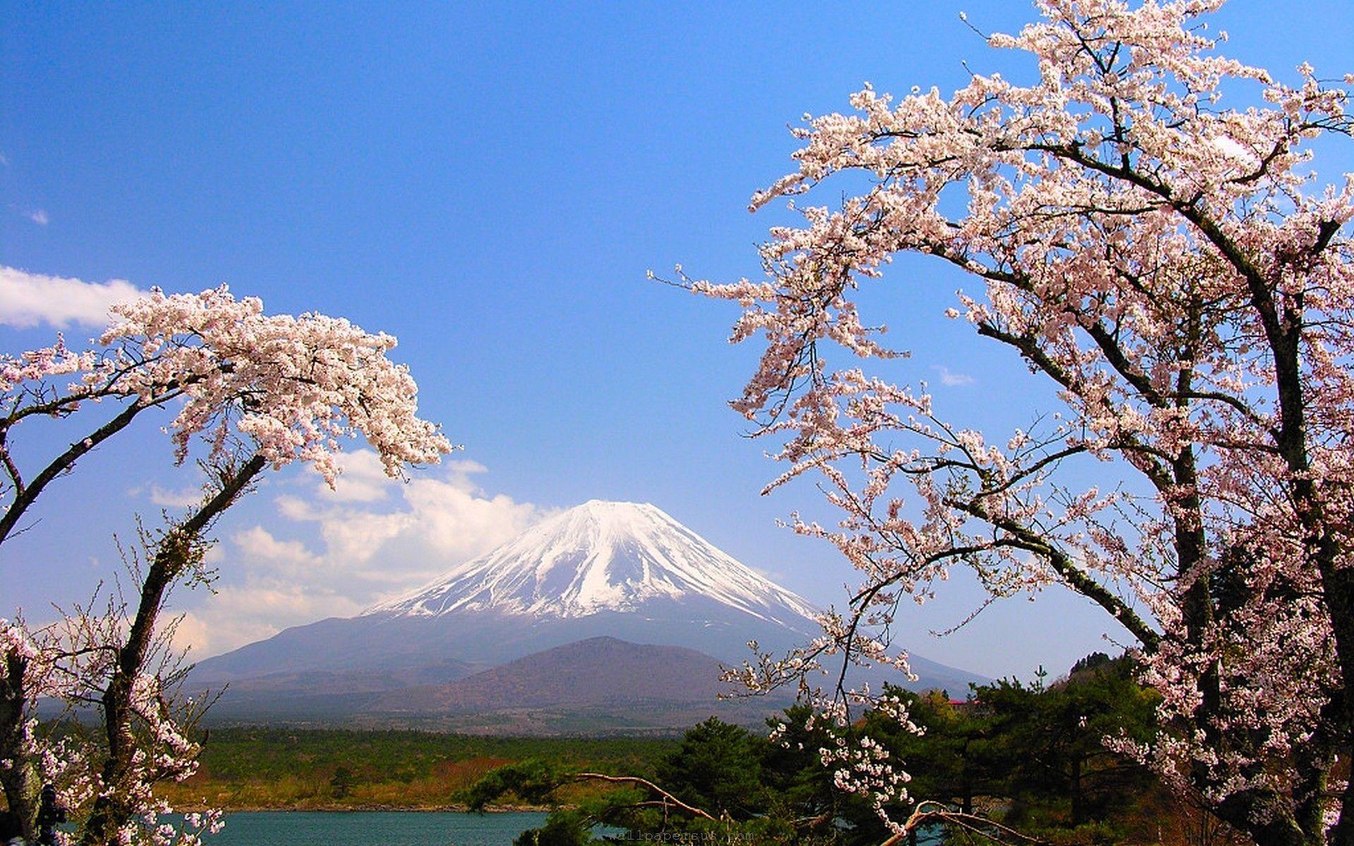 Mount Fuji Desktop Wallpapers - Top Free Mount Fuji Desktop Backgrounds ...