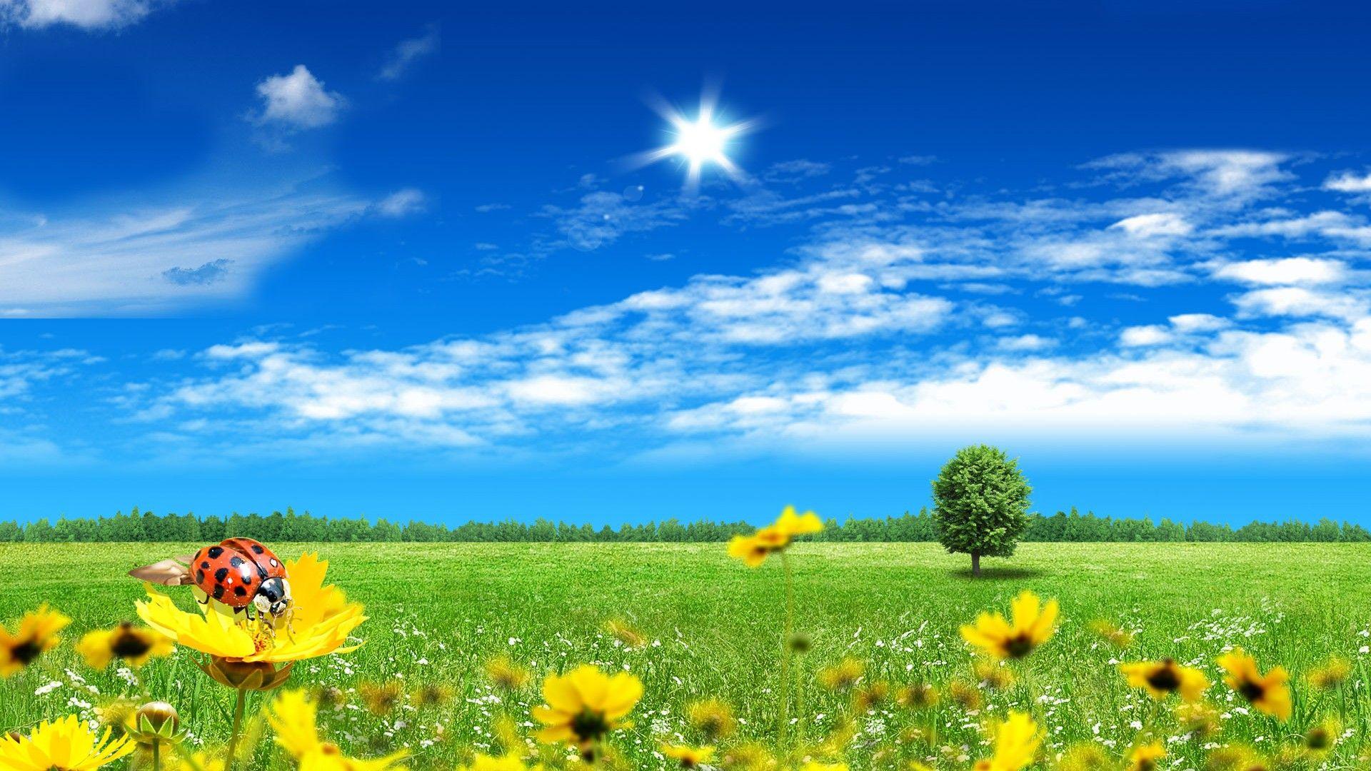 Sunny Nature Wallpapers - Top Free Sunny Nature Backgrounds ...