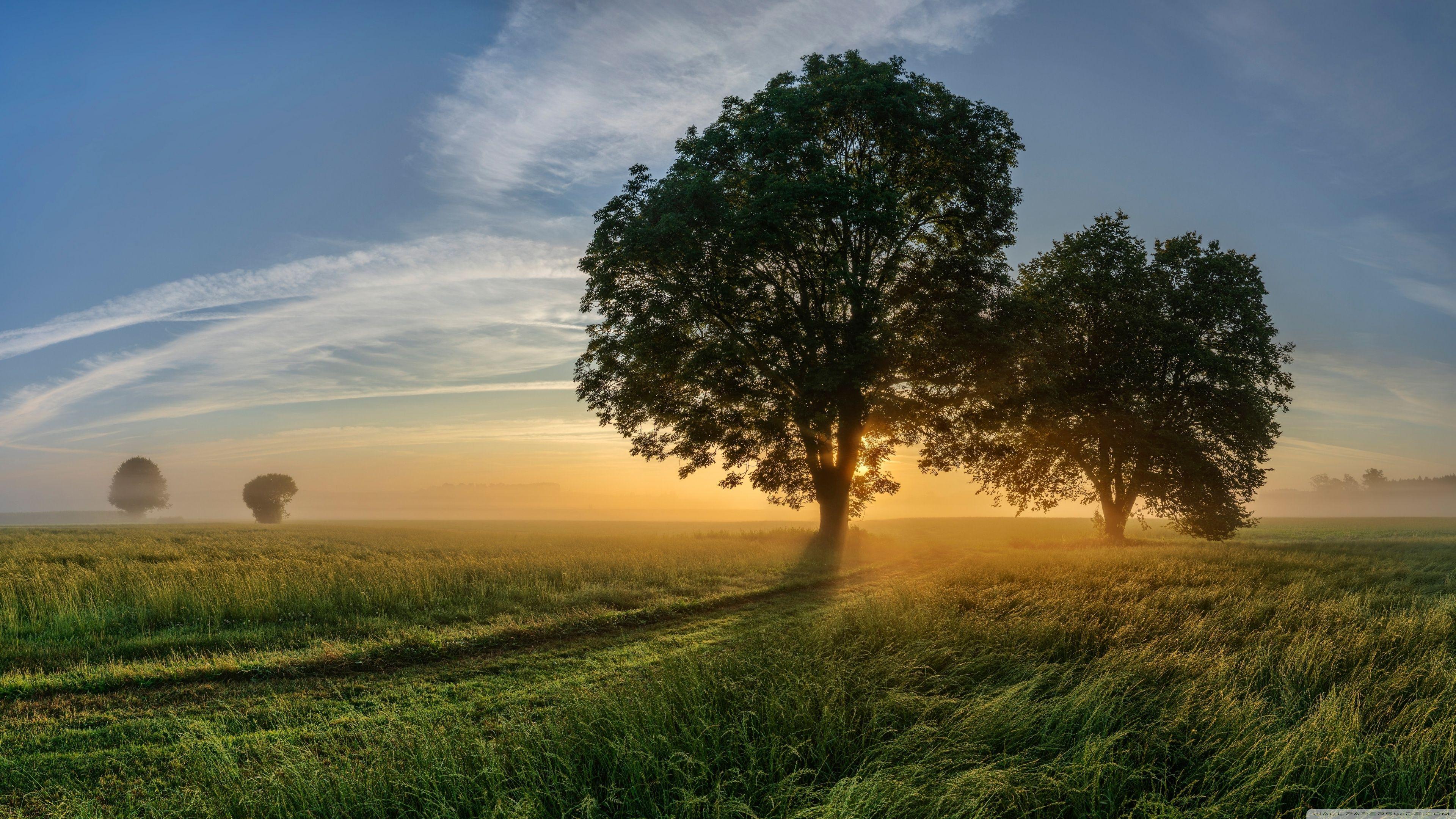 4K Countryside Wallpapers - Top Free 4K Countryside Backgrounds ...