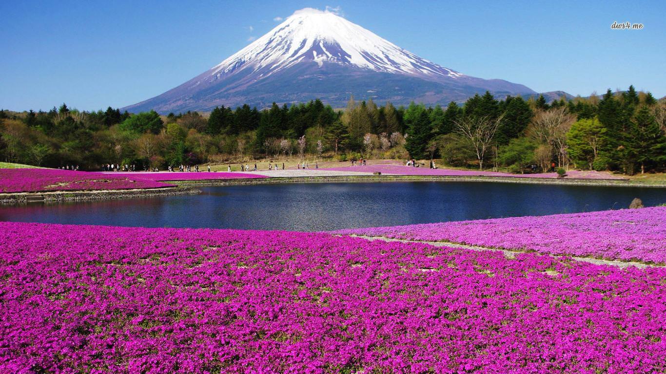 Mount Fuji Wallpapers - Top Free Mount Fuji Backgrounds - WallpaperAccess Mount Fuji Wallpapers - Top Free Mount Fuji Backgrounds - WallpaperAccess