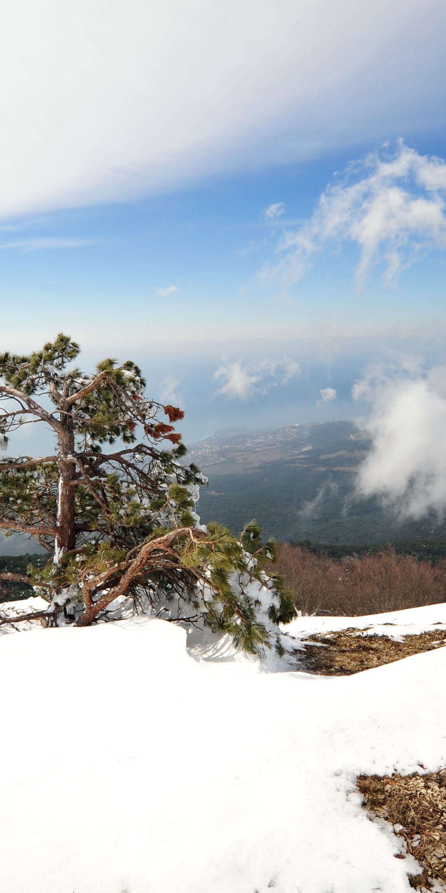 Winter Vertical Wallpapers - Top Free Winter Vertical Backgrounds ...