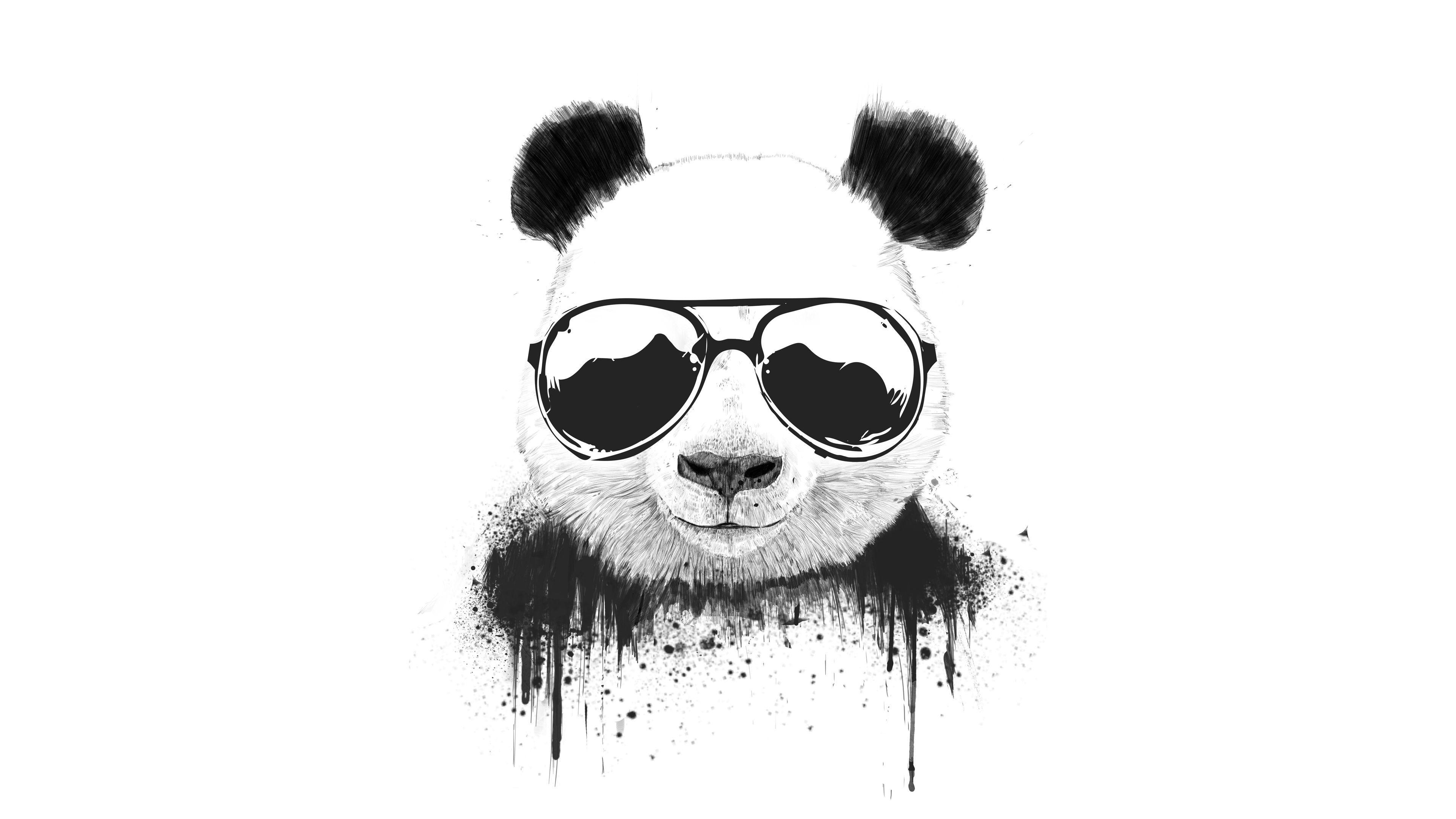 Cool Panda Bear Wallpapers - Top Free Cool Panda Bear Backgrounds ...