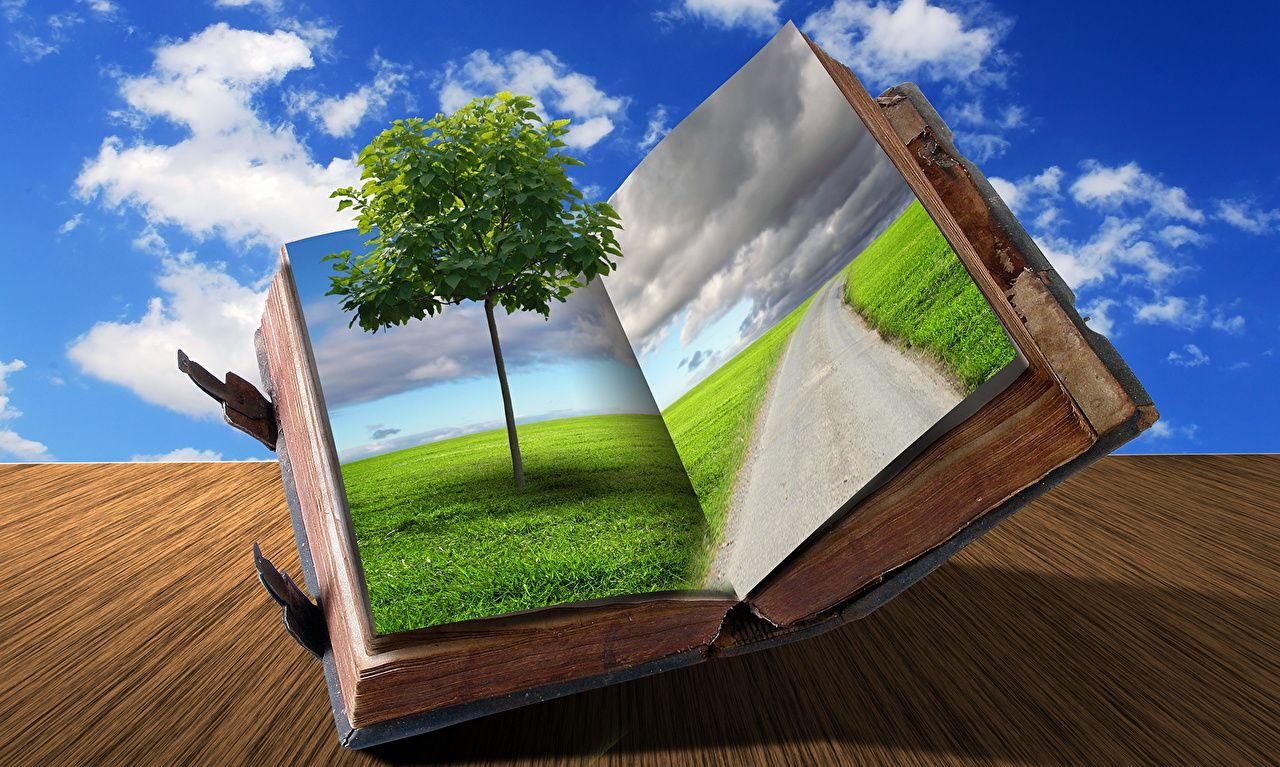 Book Tree Wallpapers - Top Free Book Tree Backgrounds - WallpaperAccess