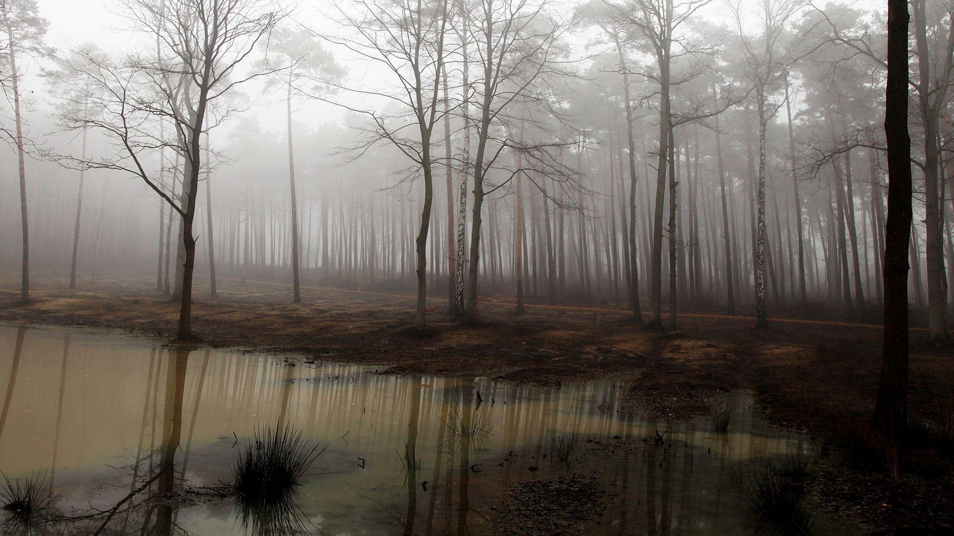 After Rain Wallpapers - Top Free After Rain Backgrounds - WallpaperAccess