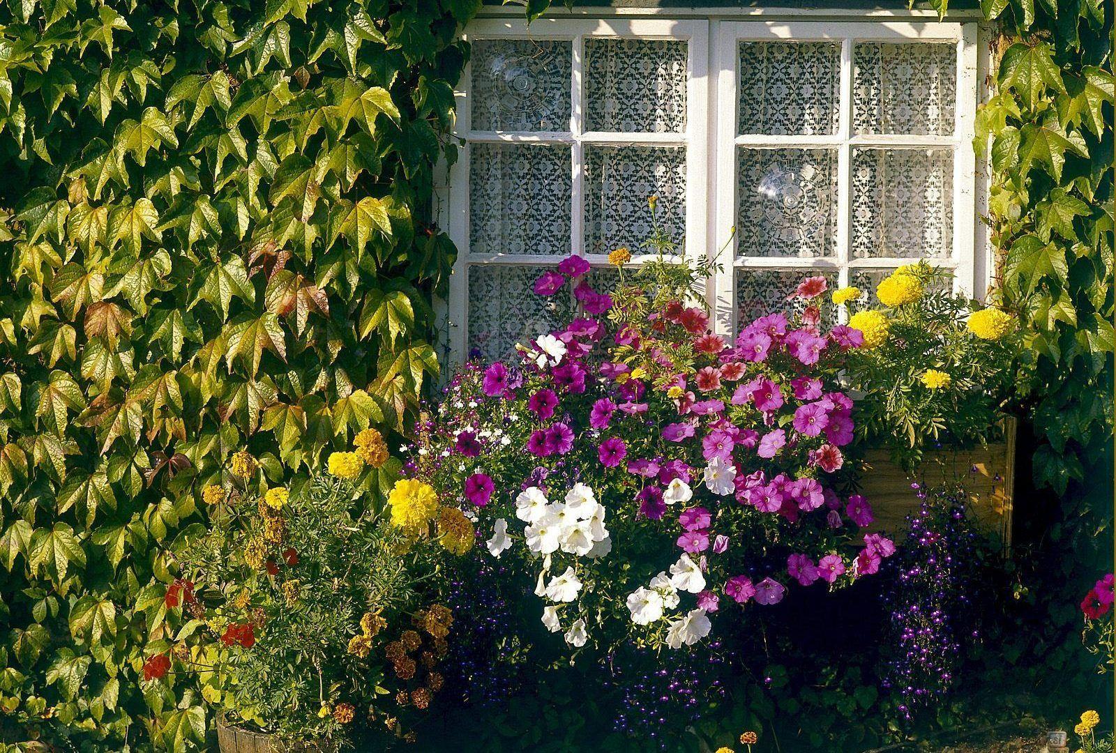 Country Garden Desktop Wallpapers - Top Free Country Garden Desktop ...