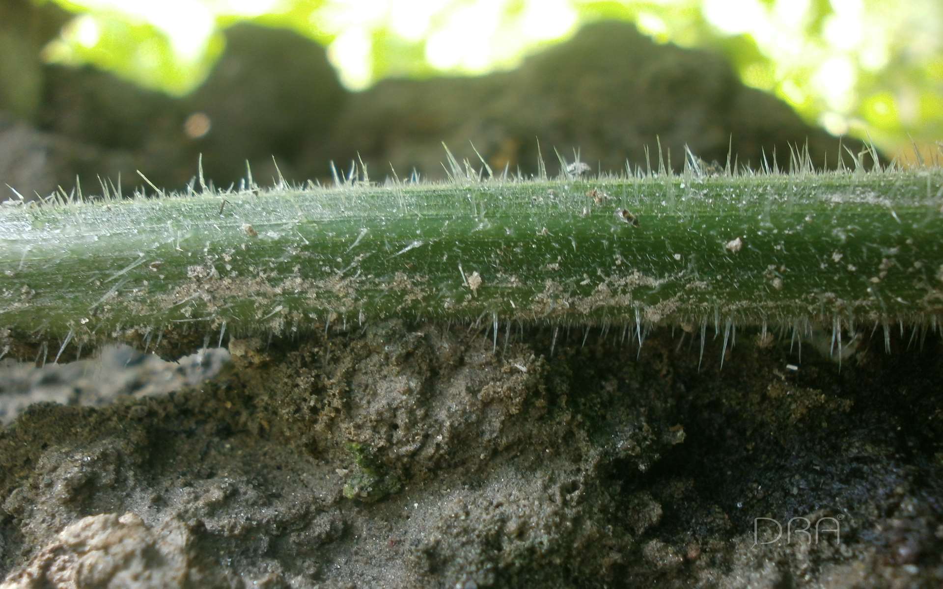 After Rain Wallpapers - Top Free After Rain Backgrounds - WallpaperAccess