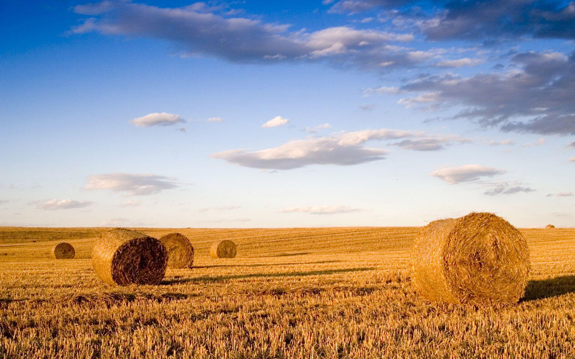 Farm Landscapes Wallpapers Top Free Farm Landscapes Backgrounds Wallpaperaccess