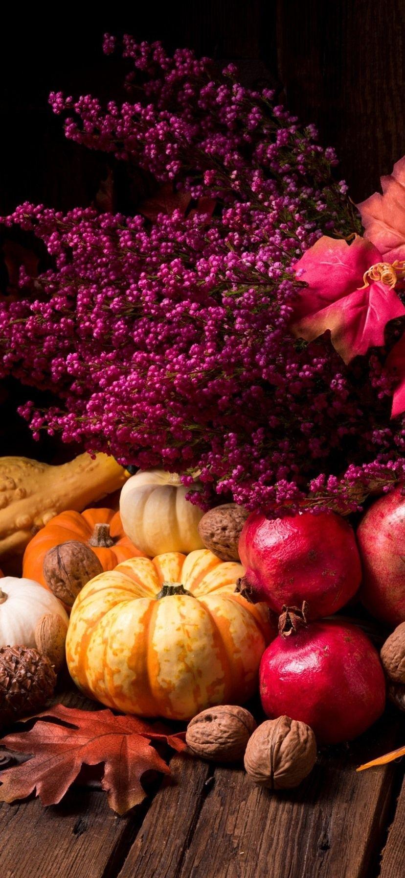 Pumpkins and Flowers Wallpapers - Top Free Pumpkins and Flowers ...