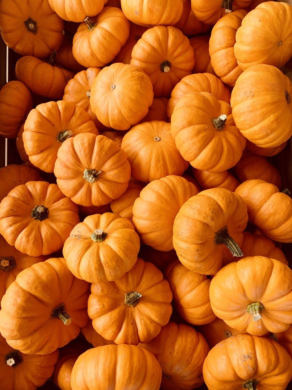 Cute Vegetable Wallpapers - Top Free Cute Vegetable Backgrounds ...