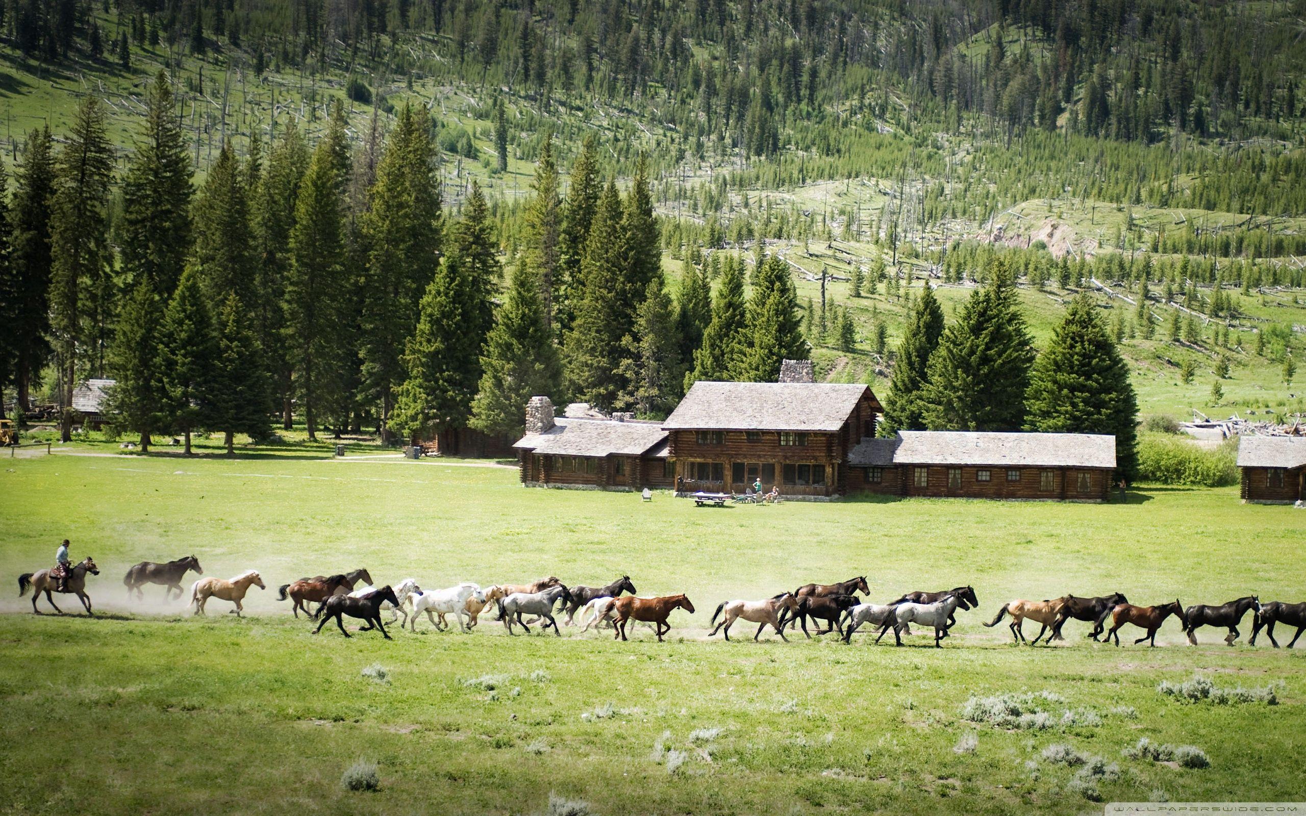 Horse Ranch Wallpapers - Top Free Horse Ranch Backgrounds - WallpaperAccess