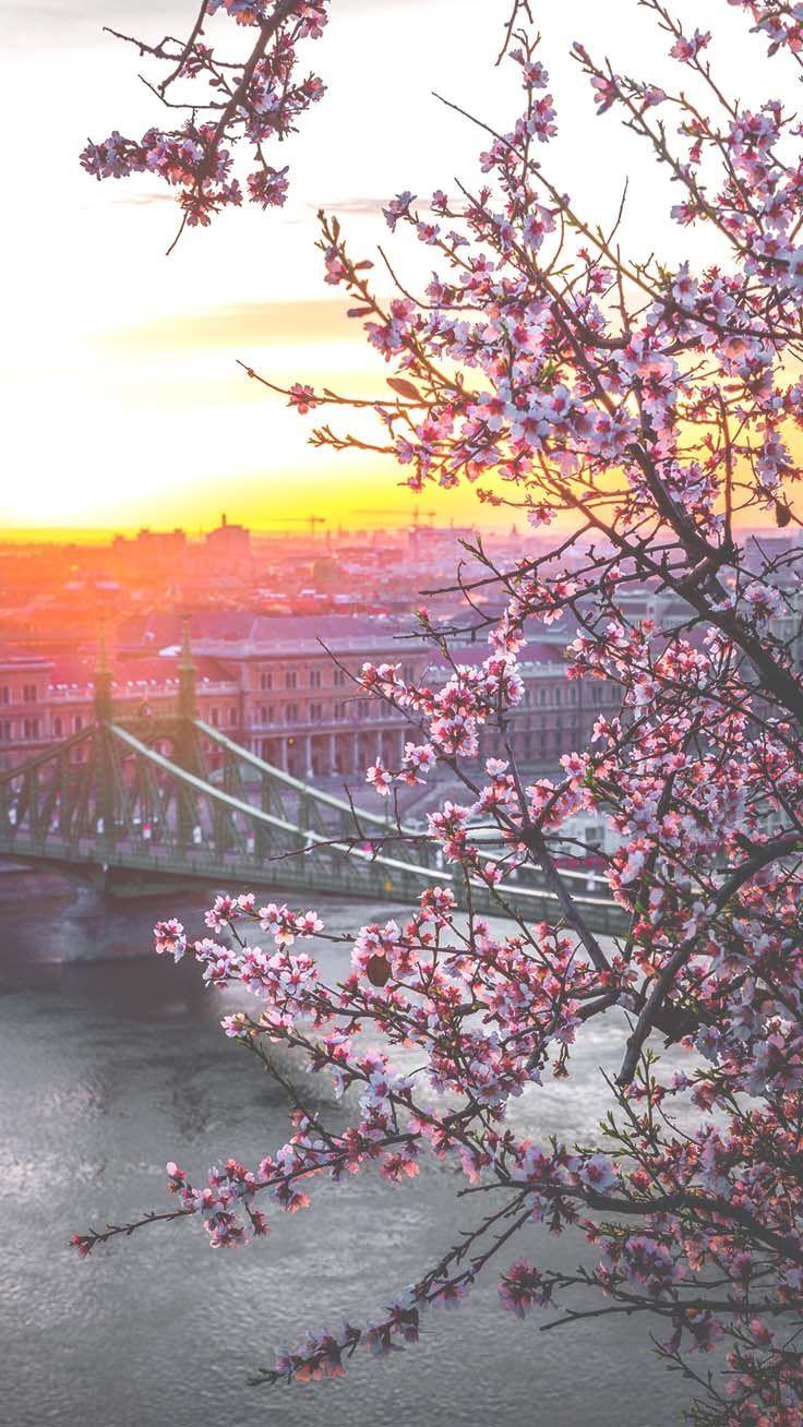 Spring in Europe Wallpapers - Top Free Spring in Europe Backgrounds ...