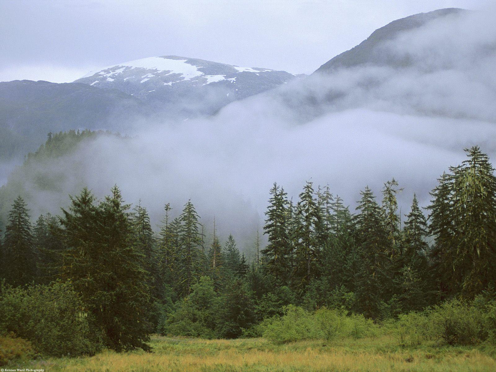 Rainy Scenery Wallpapers - Top Free Rainy Scenery Backgrounds ...