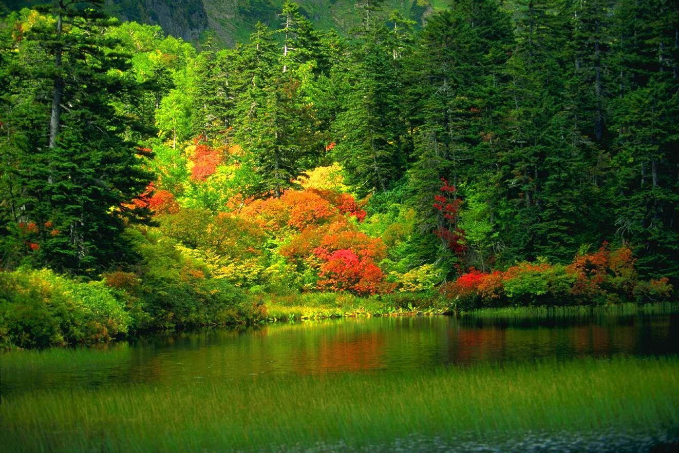 Colorful Beautiful Nature Wallpapers - Top Free Colorful Beautiful ...