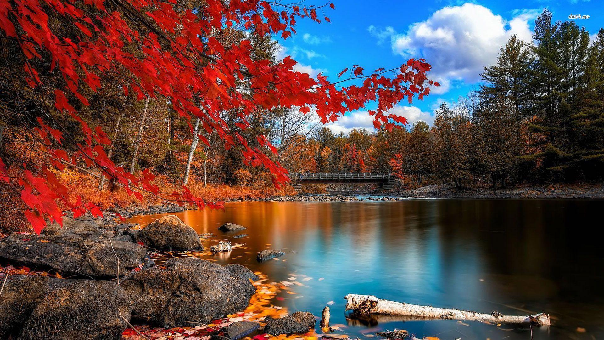 Colorful Beautiful Nature Wallpapers - Top Free Colorful Beautiful ...