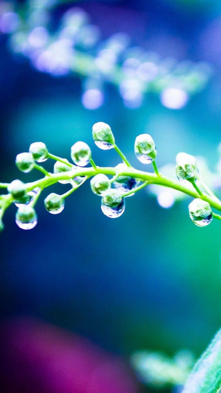 8K Rain Wallpapers - Top Free 8K Rain Backgrounds - WallpaperAccess