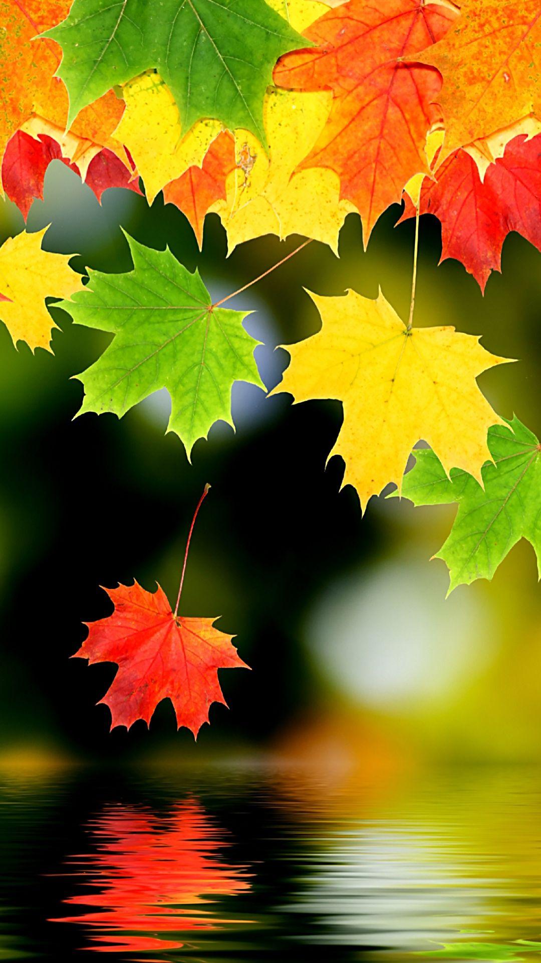 Falling Leaves iPhone Wallpapers - Top Free Falling Leaves iPhone ...