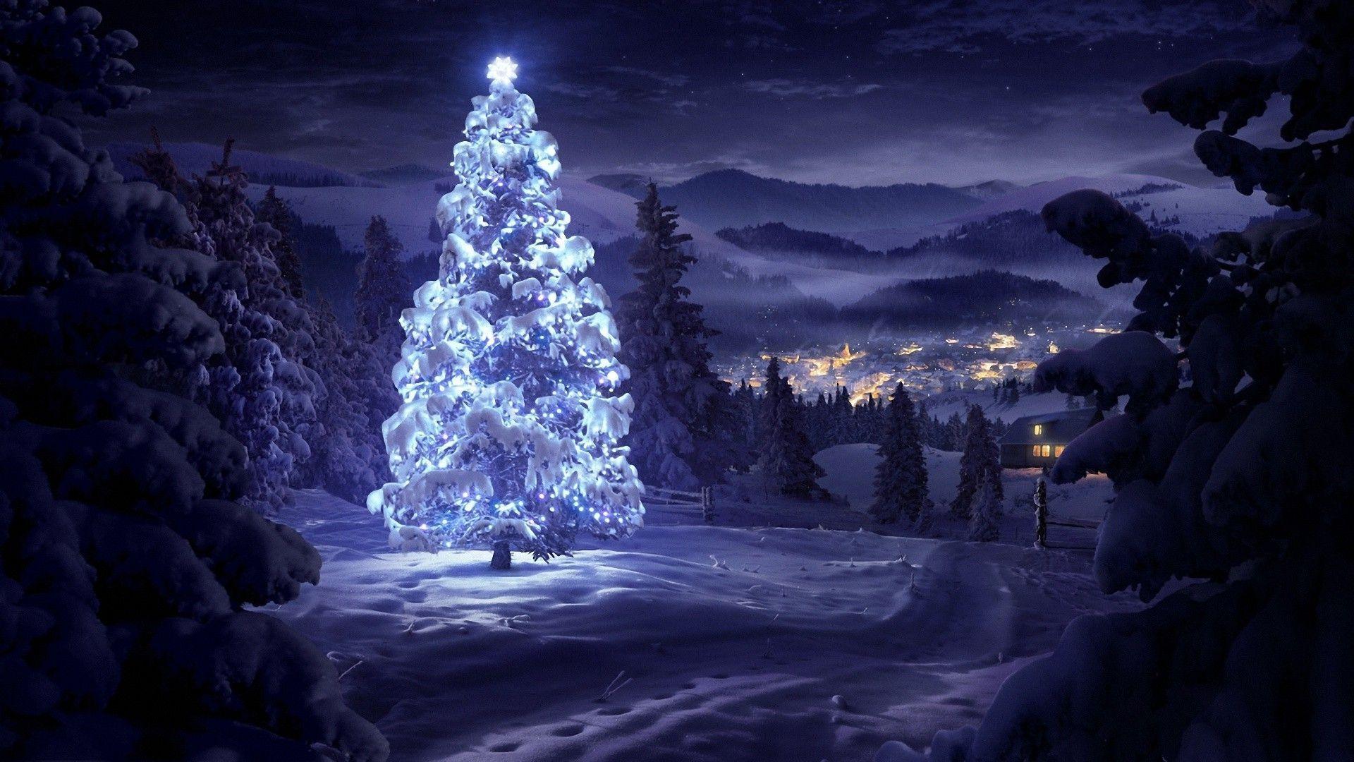Christmas Tree Snow Wallpapers - Top Free Christmas Tree Snow ...