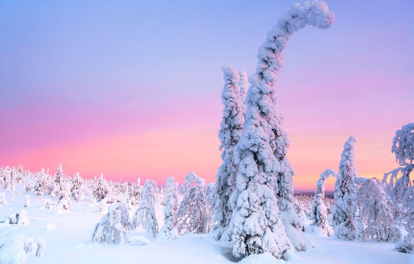 Pink Snow Wallpapers - Top Free Pink Snow Backgrounds - WallpaperAccess