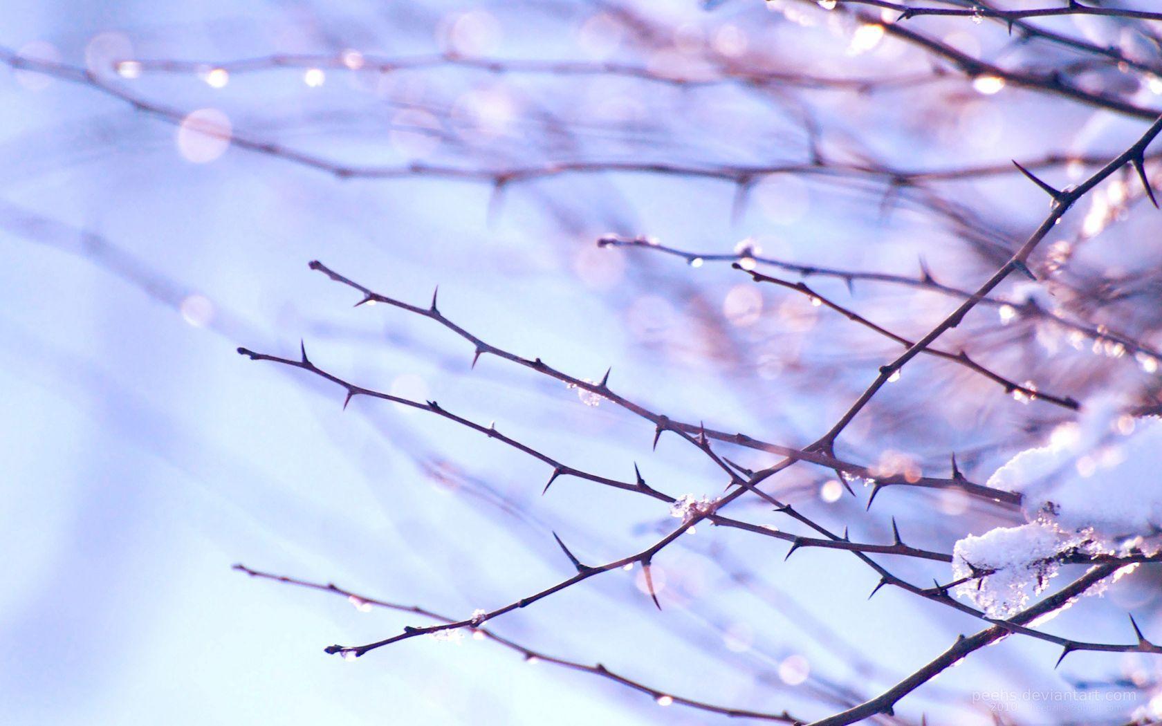 Spring Snow Wallpapers - Top Free Spring Snow Backgrounds - WallpaperAccess