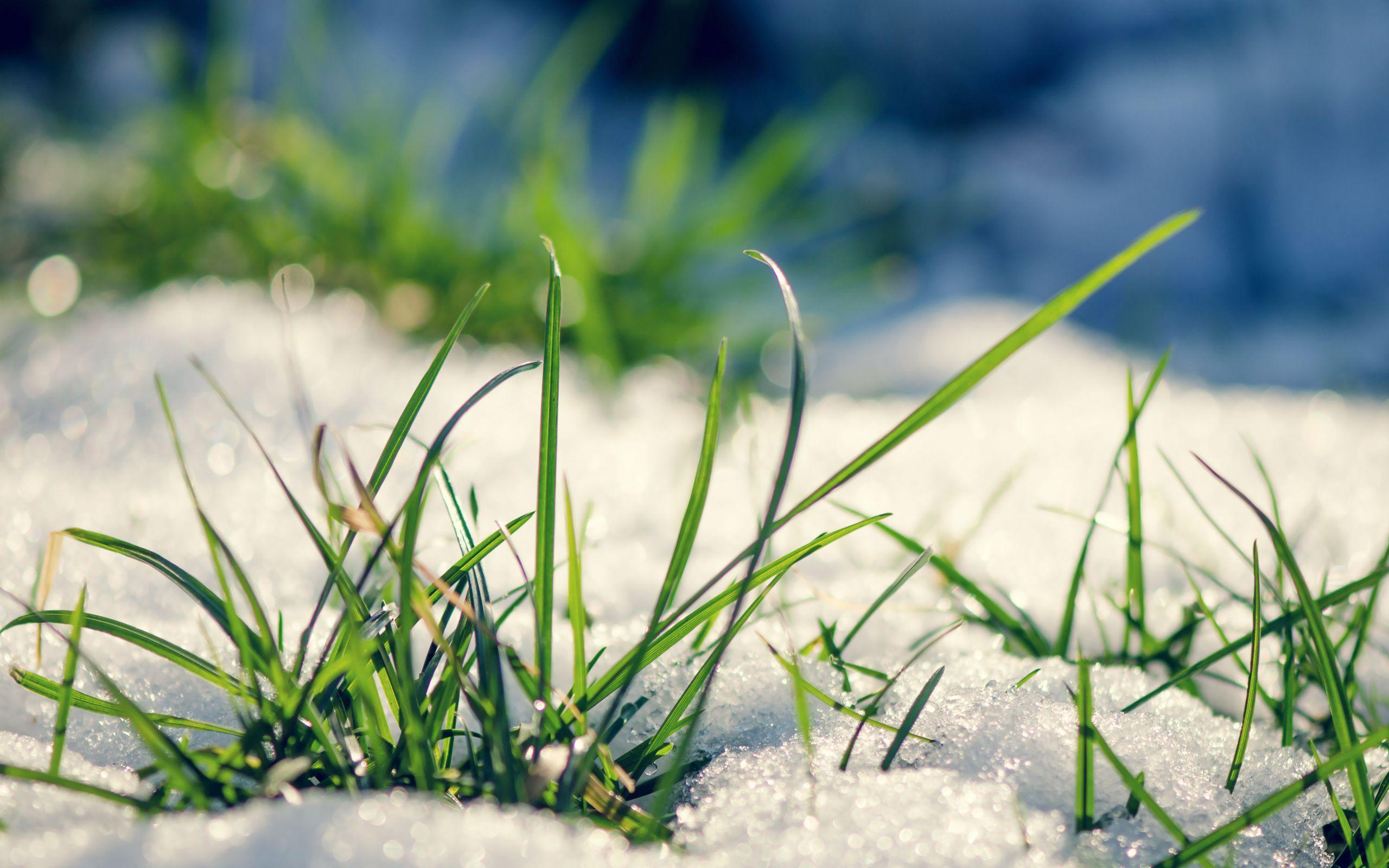 Spring Snow Wallpapers - Top Free Spring Snow Backgrounds - WallpaperAccess