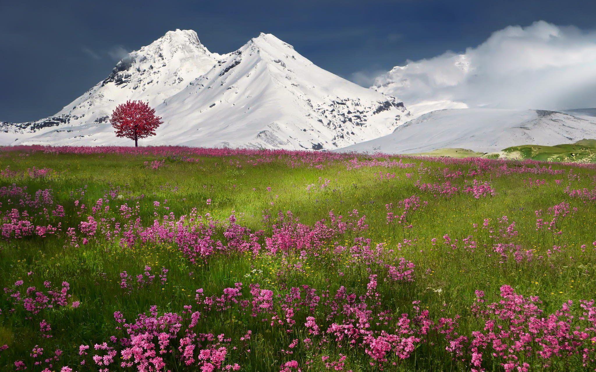 Spring Snow Wallpapers - Top Free Spring Snow Backgrounds - WallpaperAccess