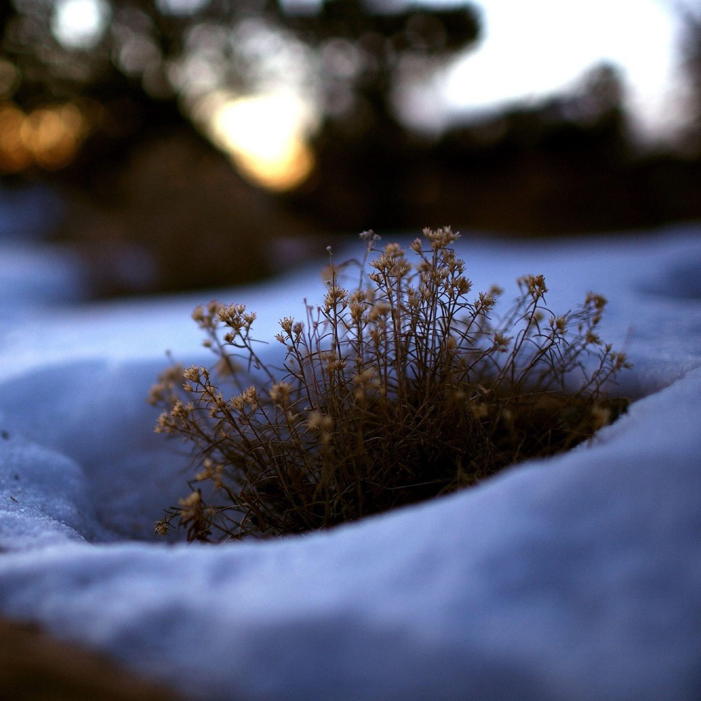 Spring Snow Wallpapers - Top Free Spring Snow Backgrounds - WallpaperAccess