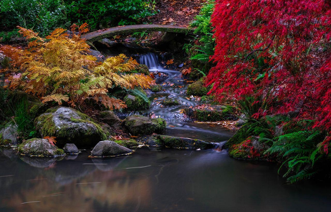 Autumn Waterfall Desktop Wallpapers - Top Free Autumn Waterfall Desktop ...