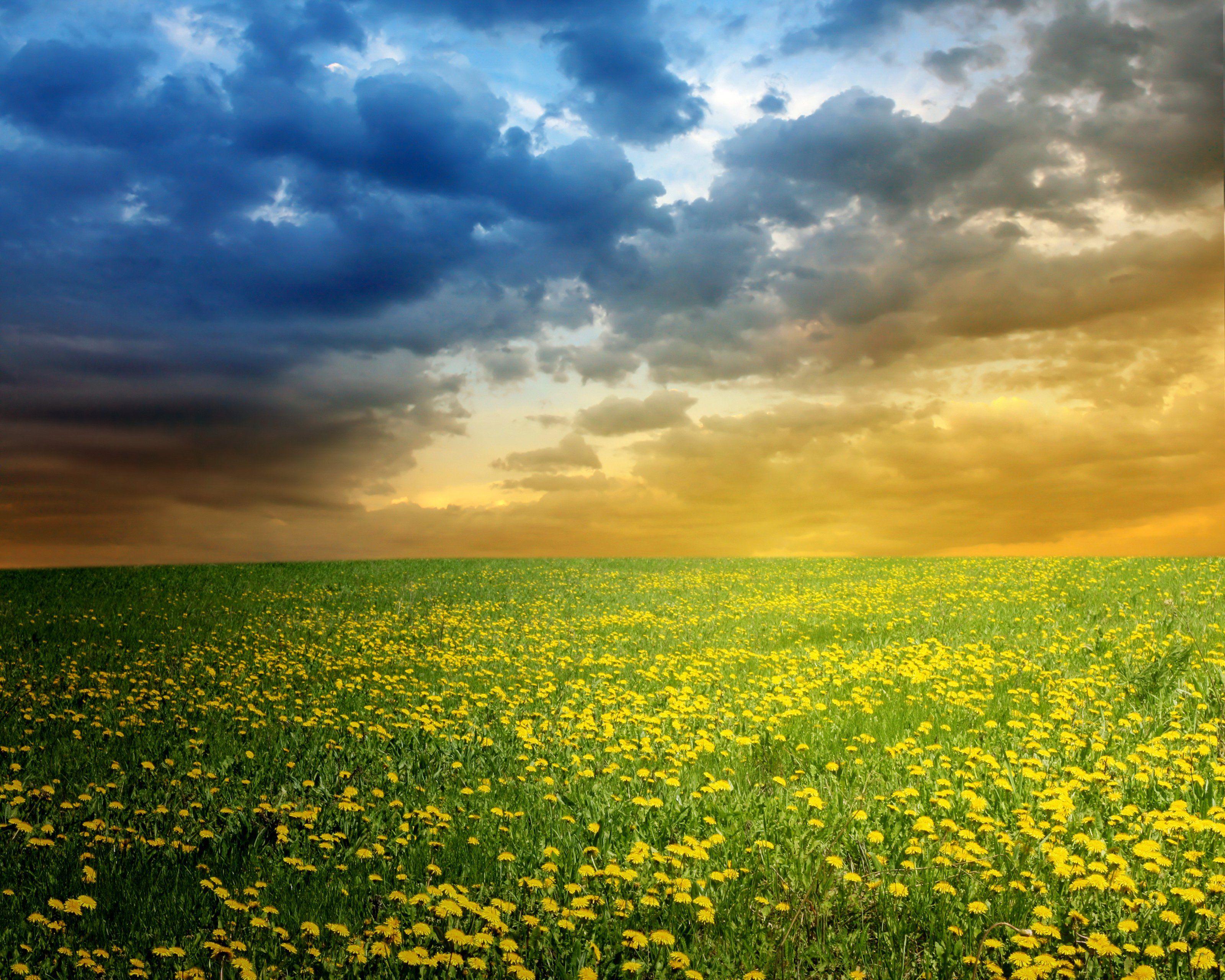 Summer Fields Wallpapers - Top Free Summer Fields Backgrounds ...
