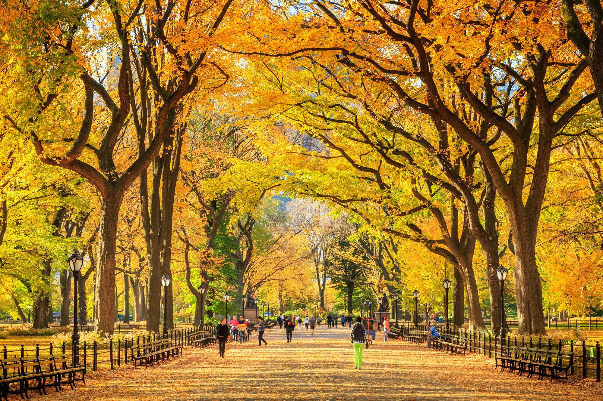 NYC Autumn Wallpapers - Top Free NYC Autumn Backgrounds - WallpaperAccess