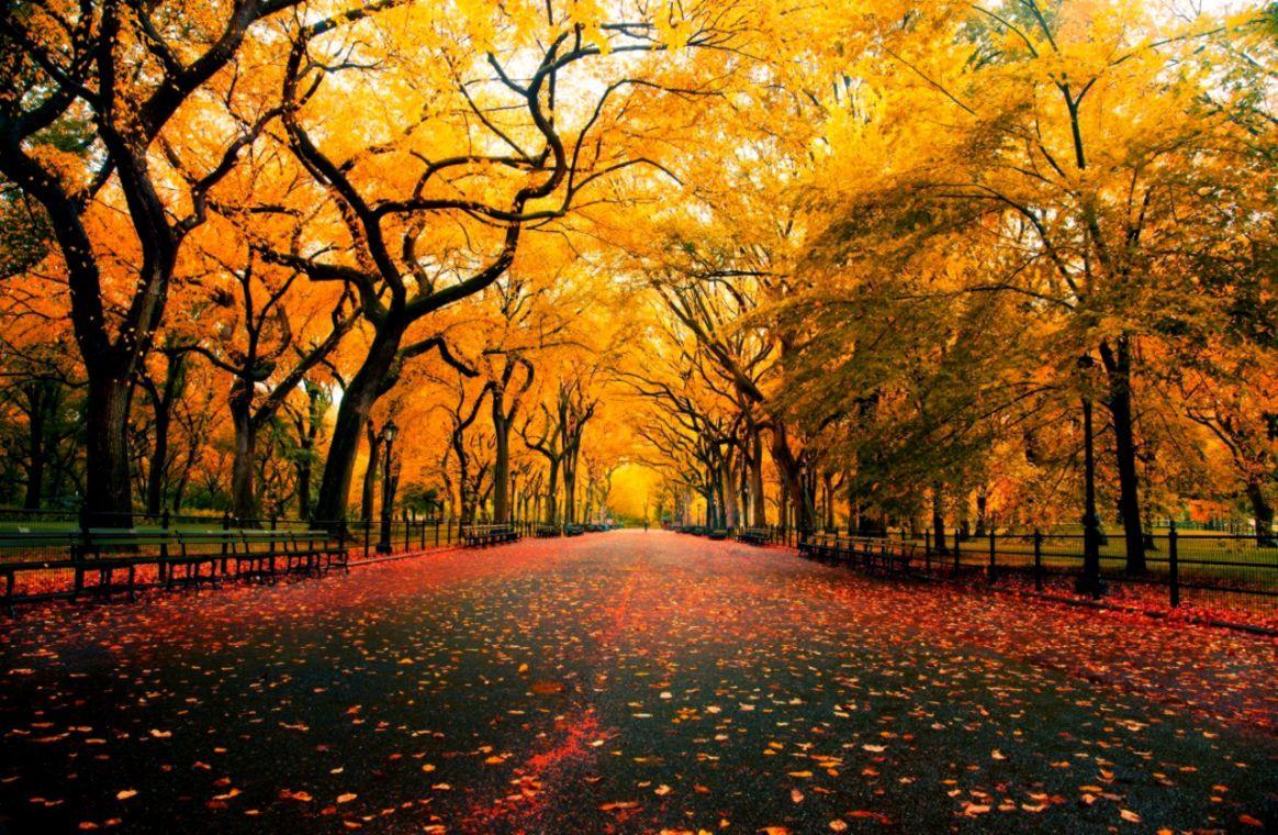 Late Autumn Wallpapers - Top Free Late Autumn Backgrounds - WallpaperAccess