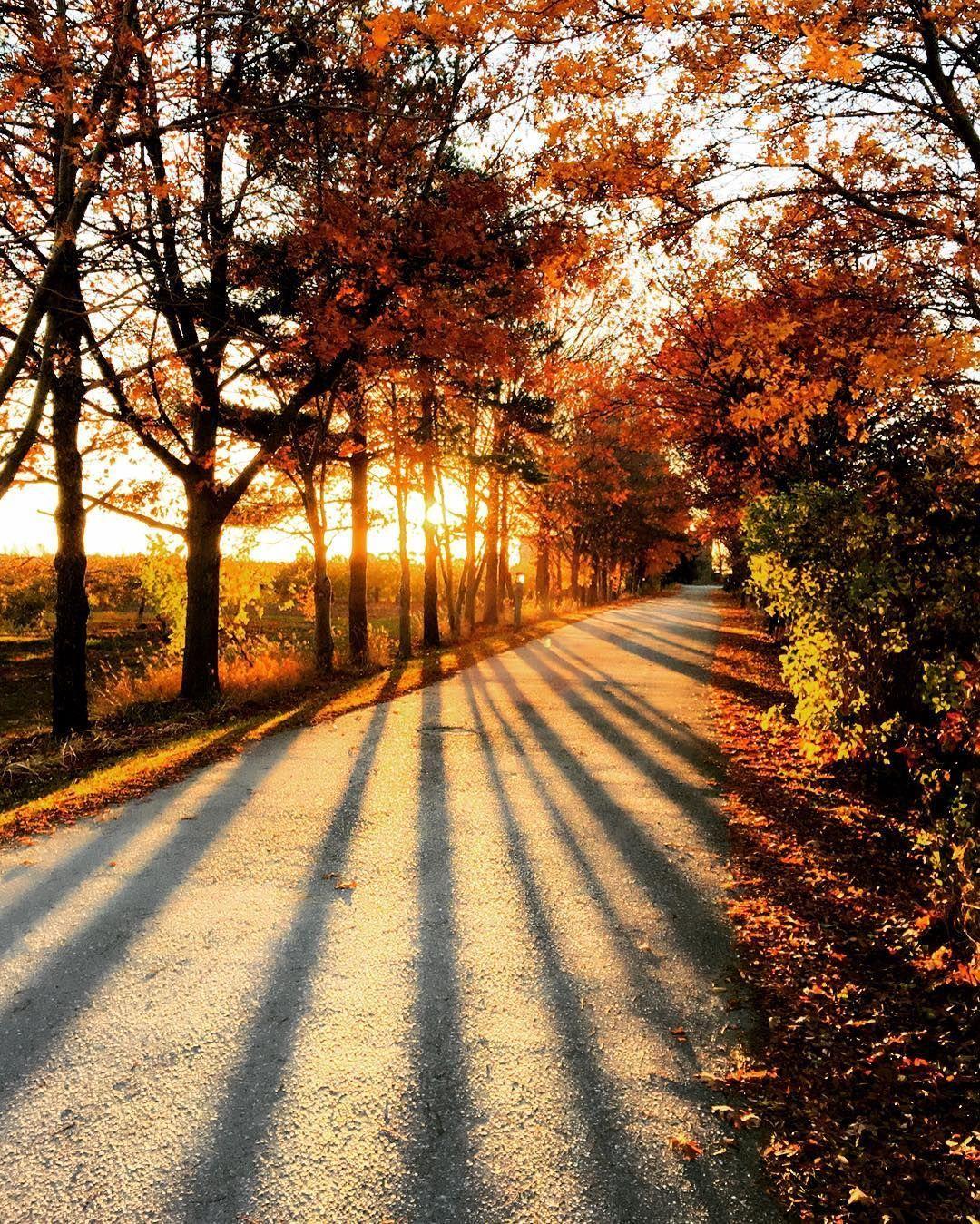 Late Autumn Wallpapers - Top Free Late Autumn Backgrounds - WallpaperAccess