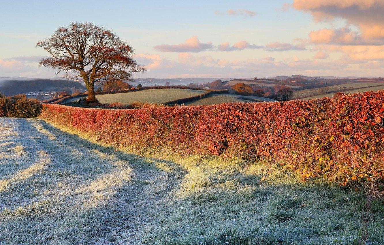 Late Autumn Wallpapers - Top Free Late Autumn Backgrounds - WallpaperAccess