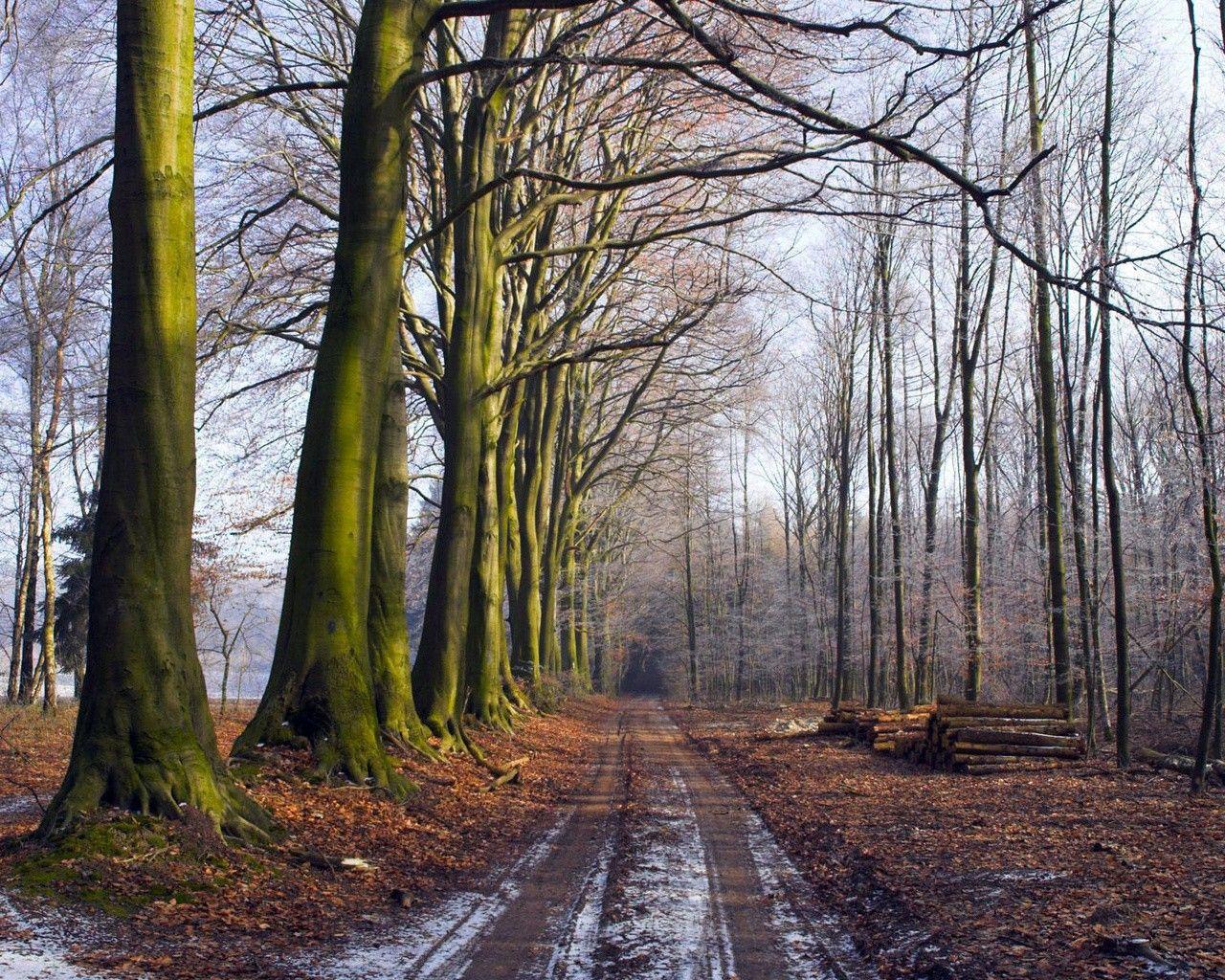 Late Autumn Wallpapers - Top Free Late Autumn Backgrounds - WallpaperAccess