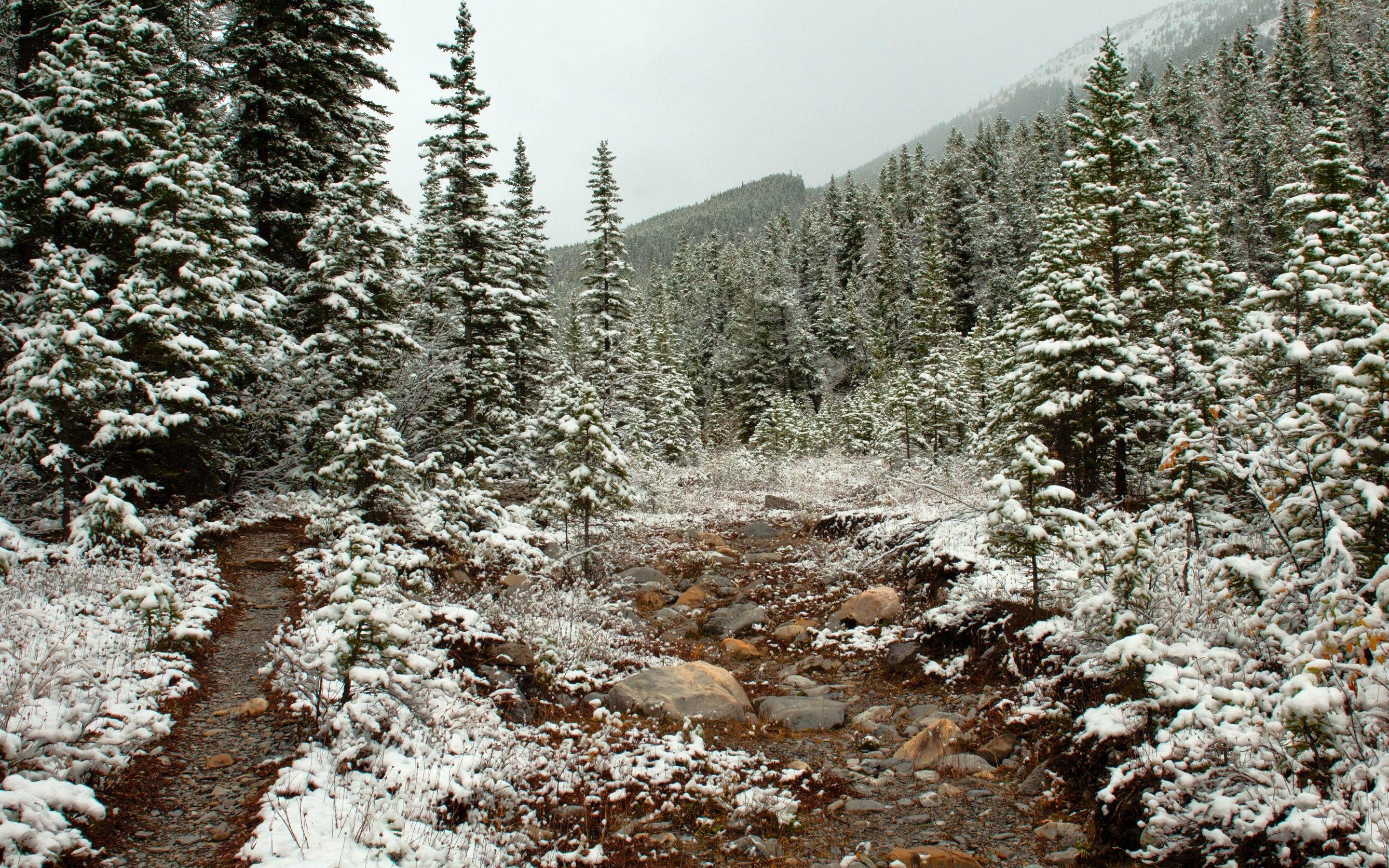 Late Autumn Wallpapers - Top Free Late Autumn Backgrounds - WallpaperAccess