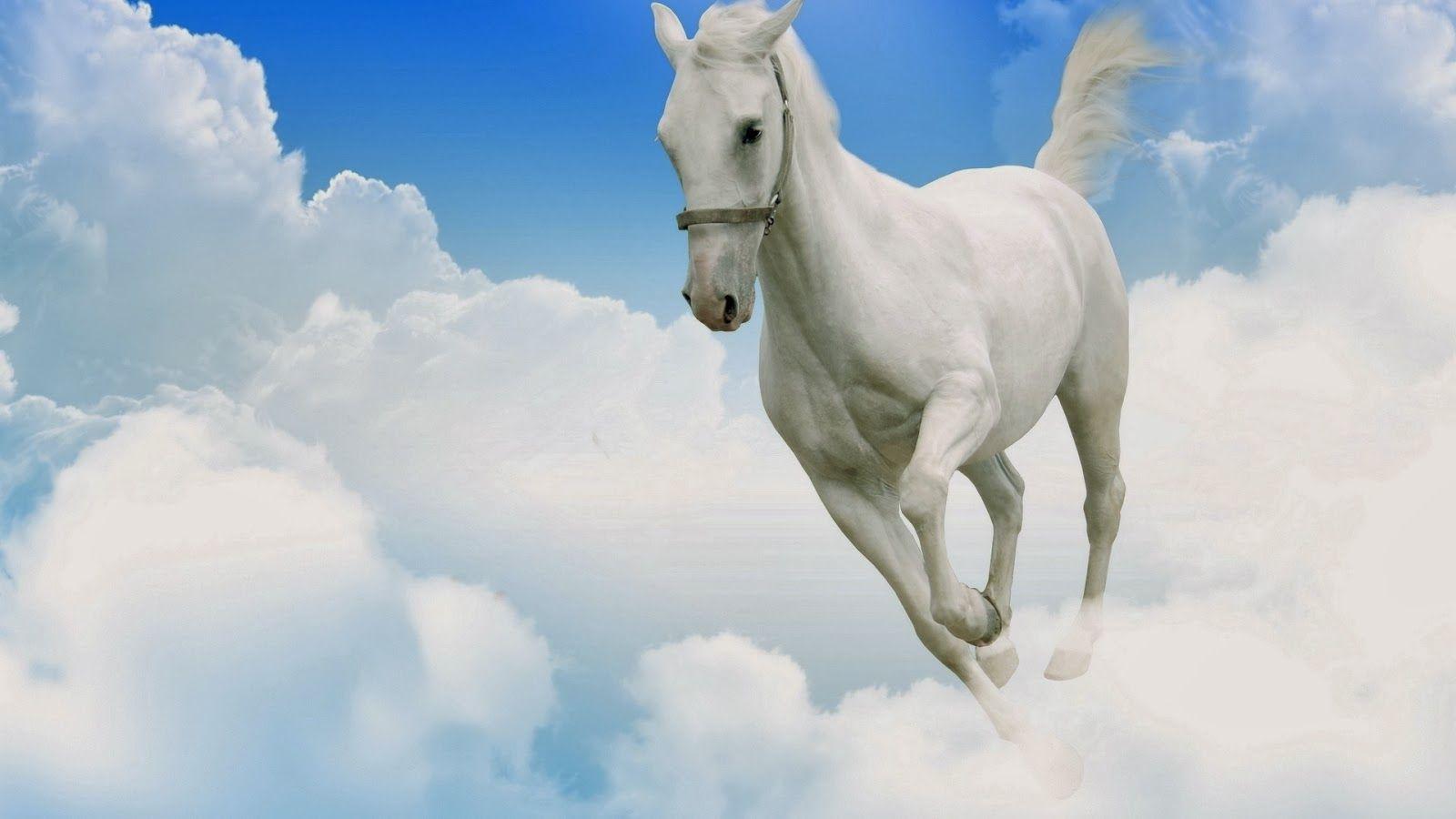 Cool Running Wallpapers - Top Free Cool Running Backgrounds ...