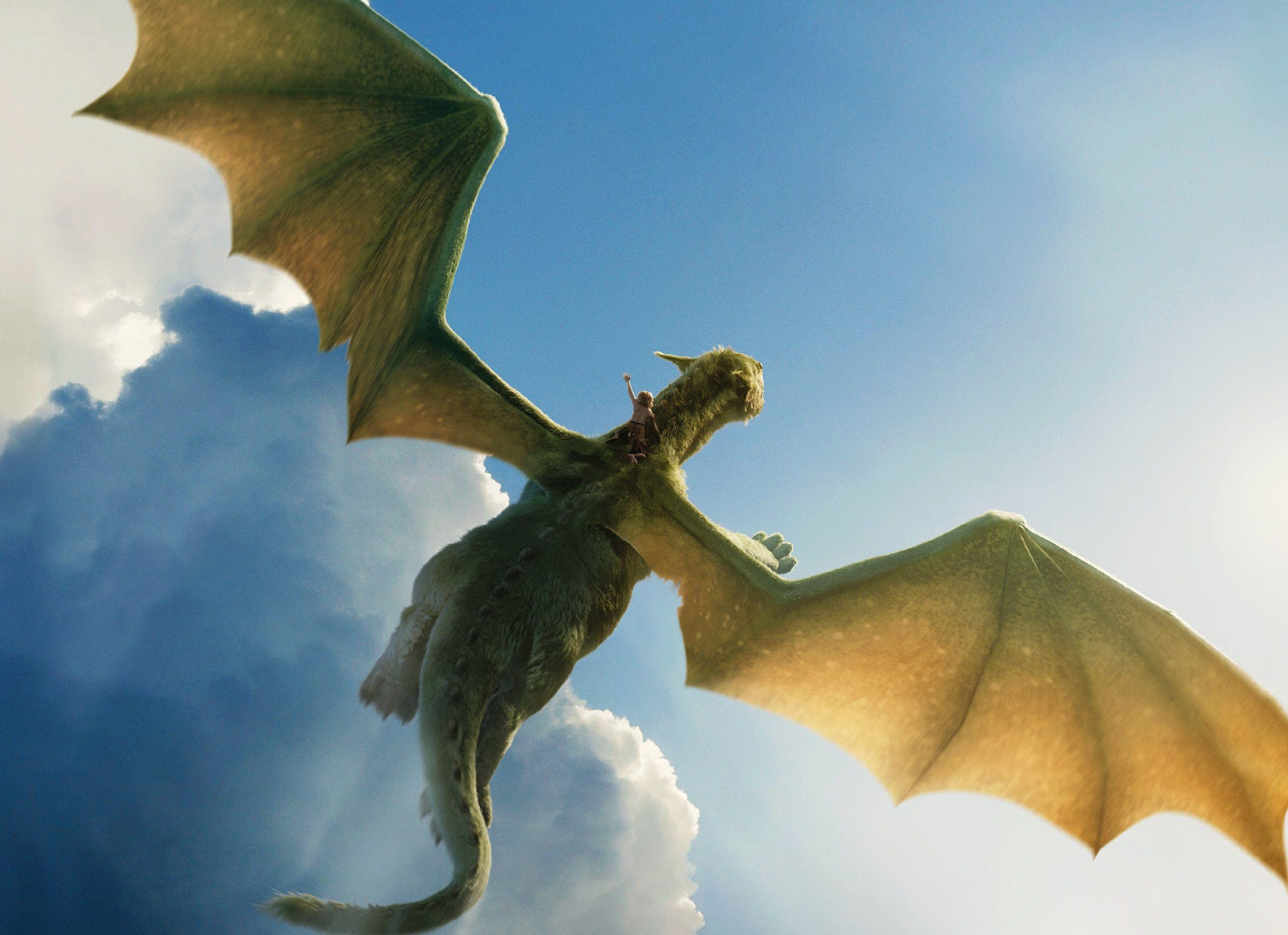Air Dragon Wallpapers - Top Free Air Dragon Backgrounds - WallpaperAccess