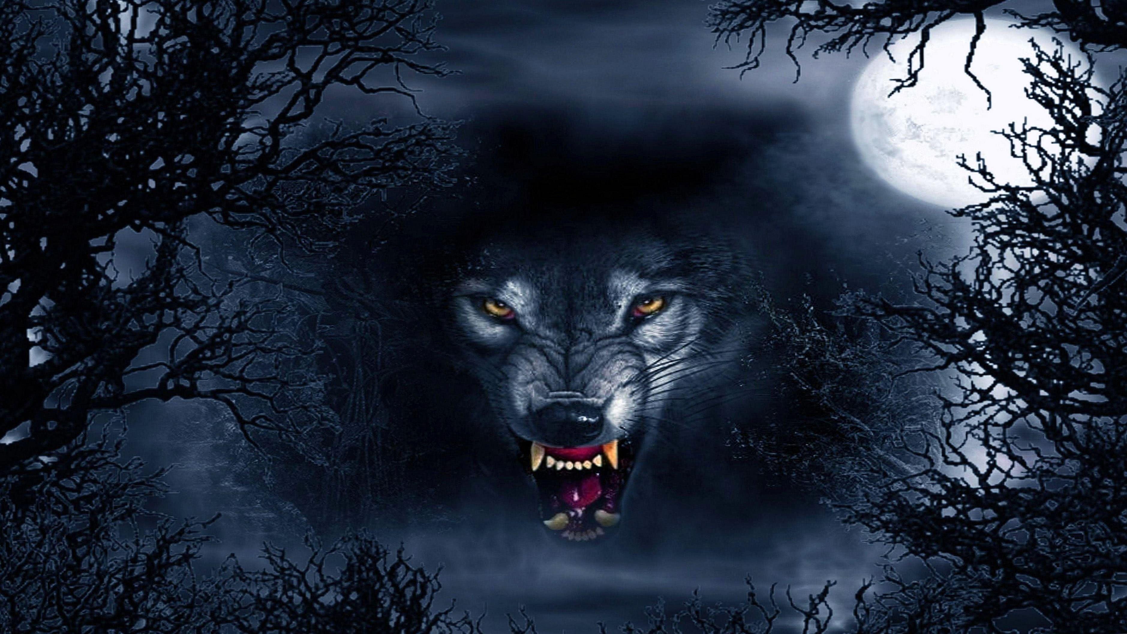 Scary Werewolf Wallpapers - Top Free Scary Werewolf Backgrounds ...