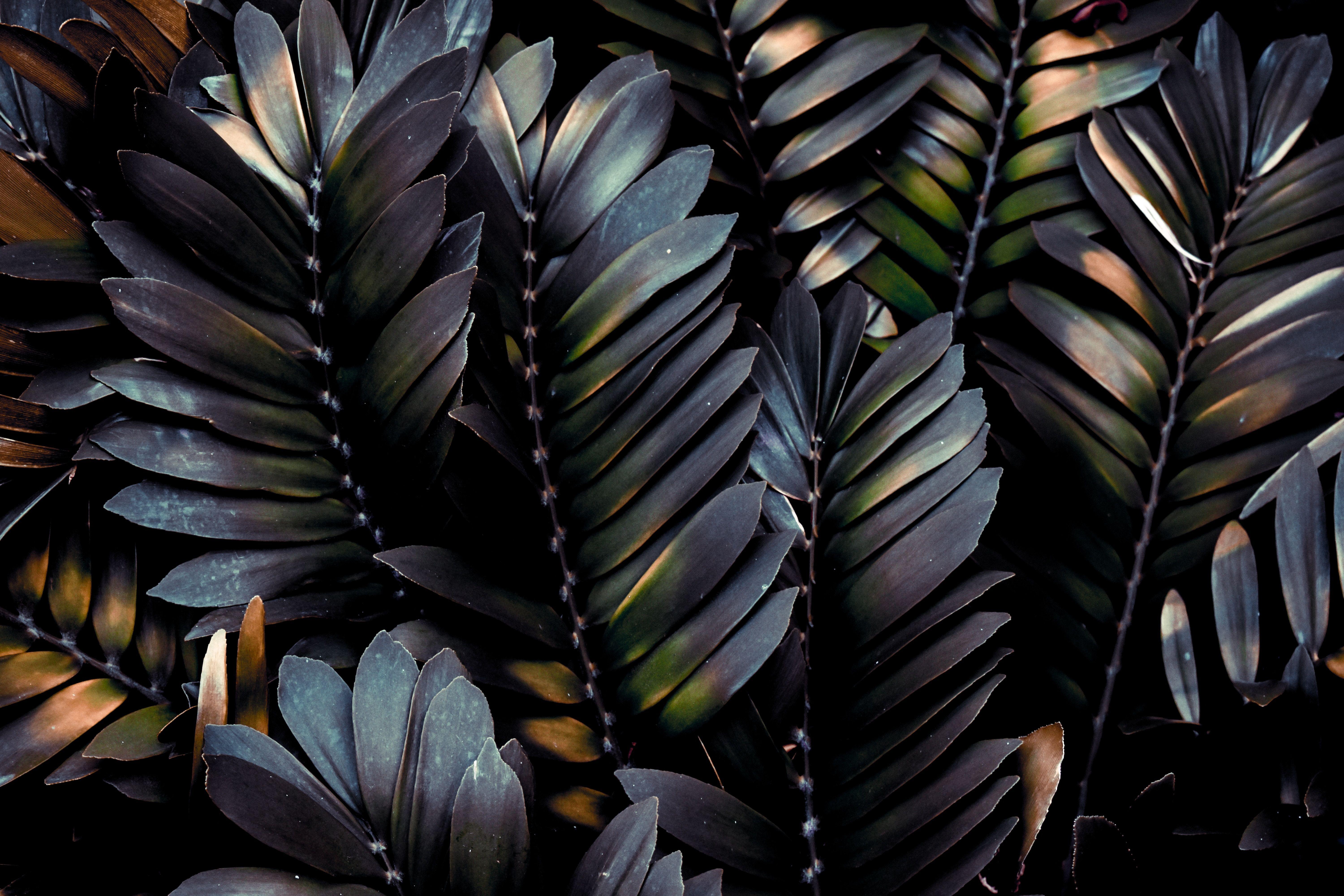 6000 X 4000 Wallpapers - Top Free 6000 X 4000 Backgrounds - WallpaperAccess