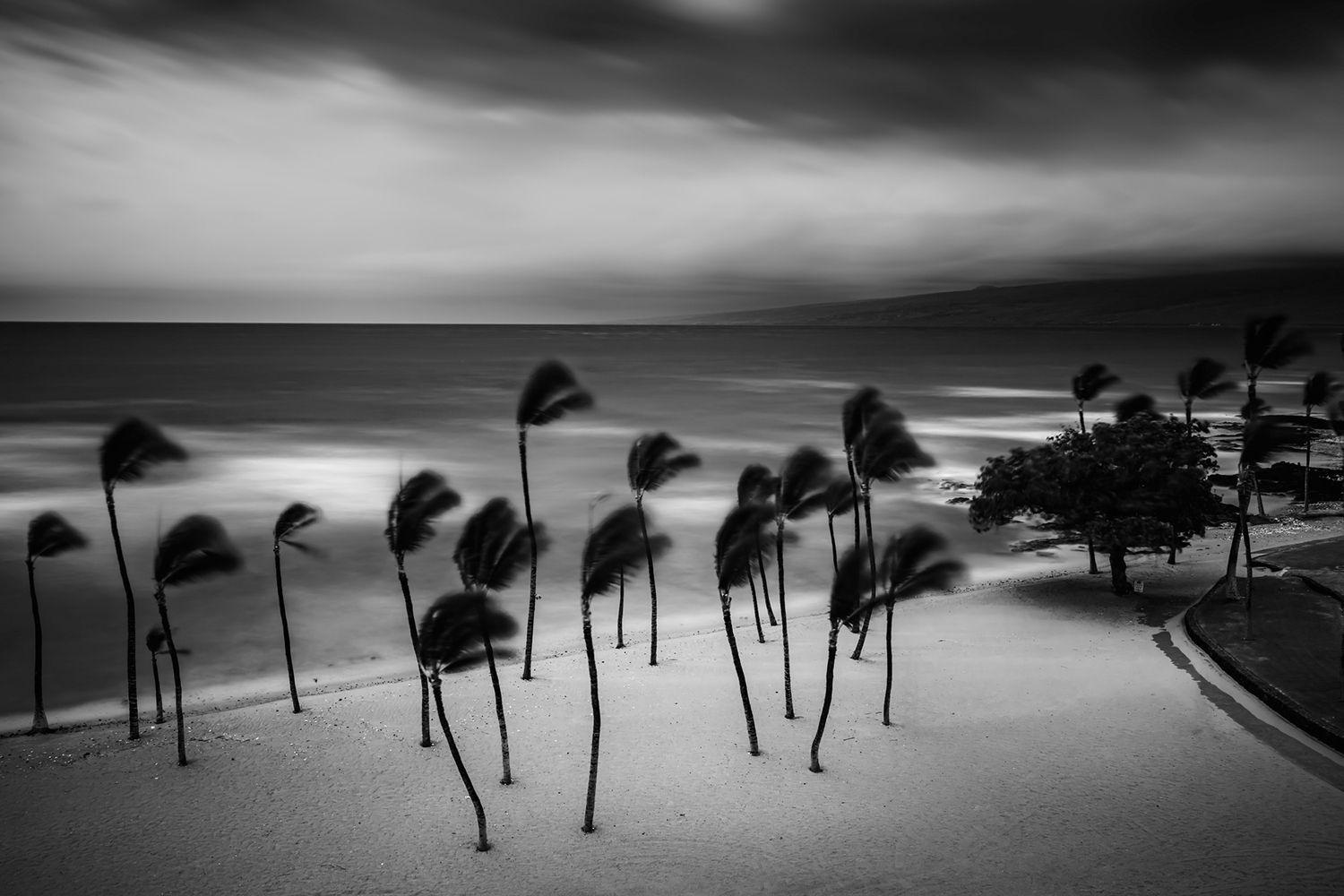 Tropical Storm Wallpapers - Top Free Tropical Storm Backgrounds ...