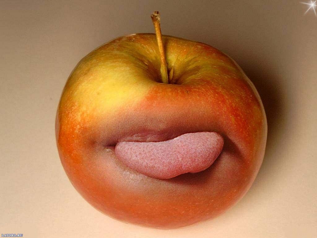 Funny Food Desktop Wallpapers - Top Free Funny Food Desktop Backgrounds ...