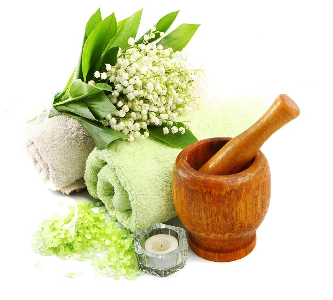 Pestle Wallpapers - Top Free Pestle Backgrounds - WallpaperAccess