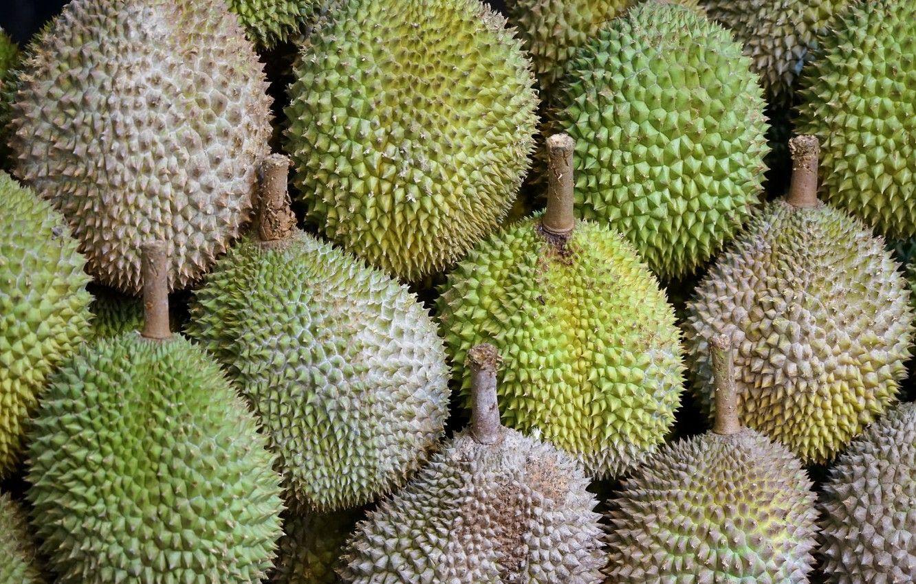 Durian Wallpapers - Top Free Durian Backgrounds - WallpaperAccess