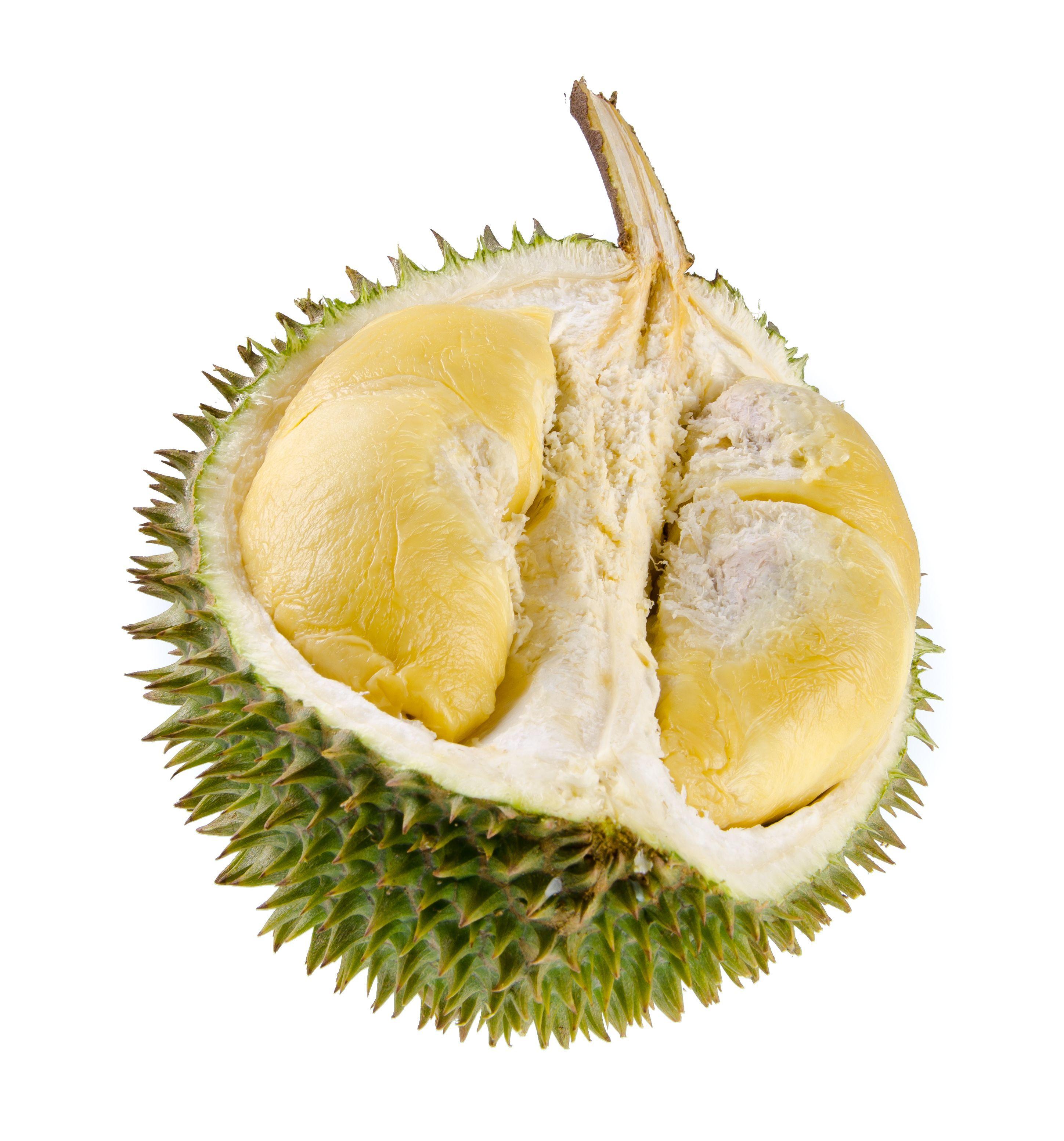 Durian Wallpapers - Top Free Durian Backgrounds - WallpaperAccess