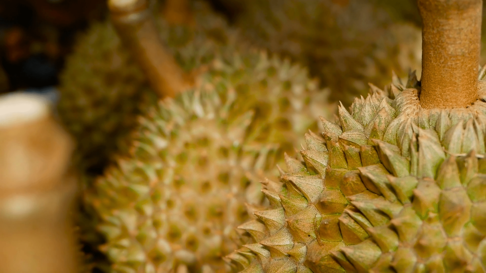 Durian Wallpapers - Top Free Durian Backgrounds - WallpaperAccess
