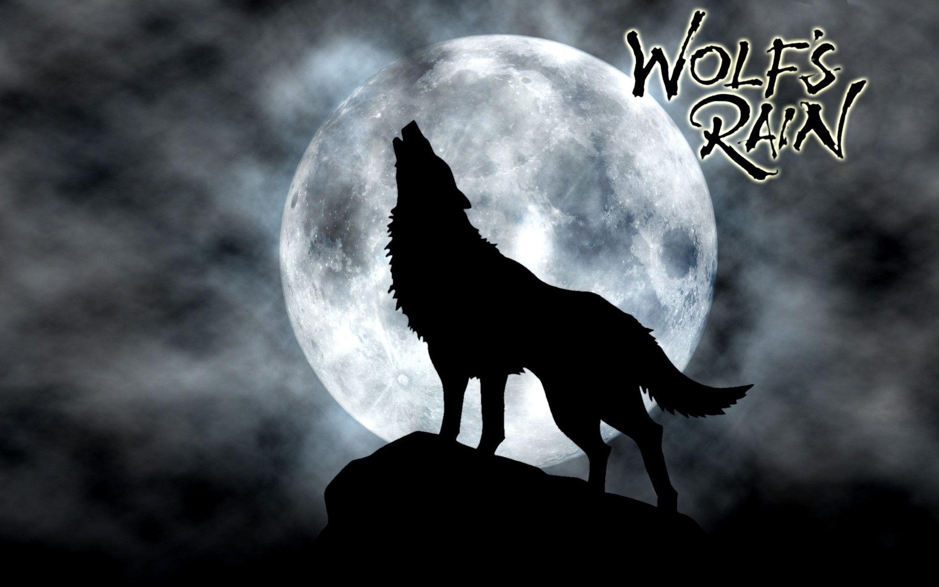 Wolf's Rain Wallpapers - Top Free Wolf's Rain Backgrounds - WallpaperAccess