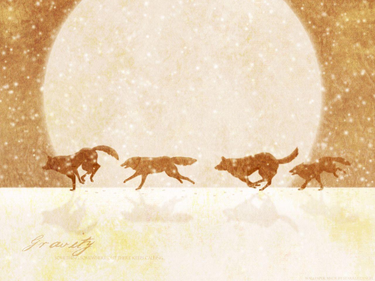 Wolf's Rain Wallpapers - Top Free Wolf's Rain Backgrounds - WallpaperAccess