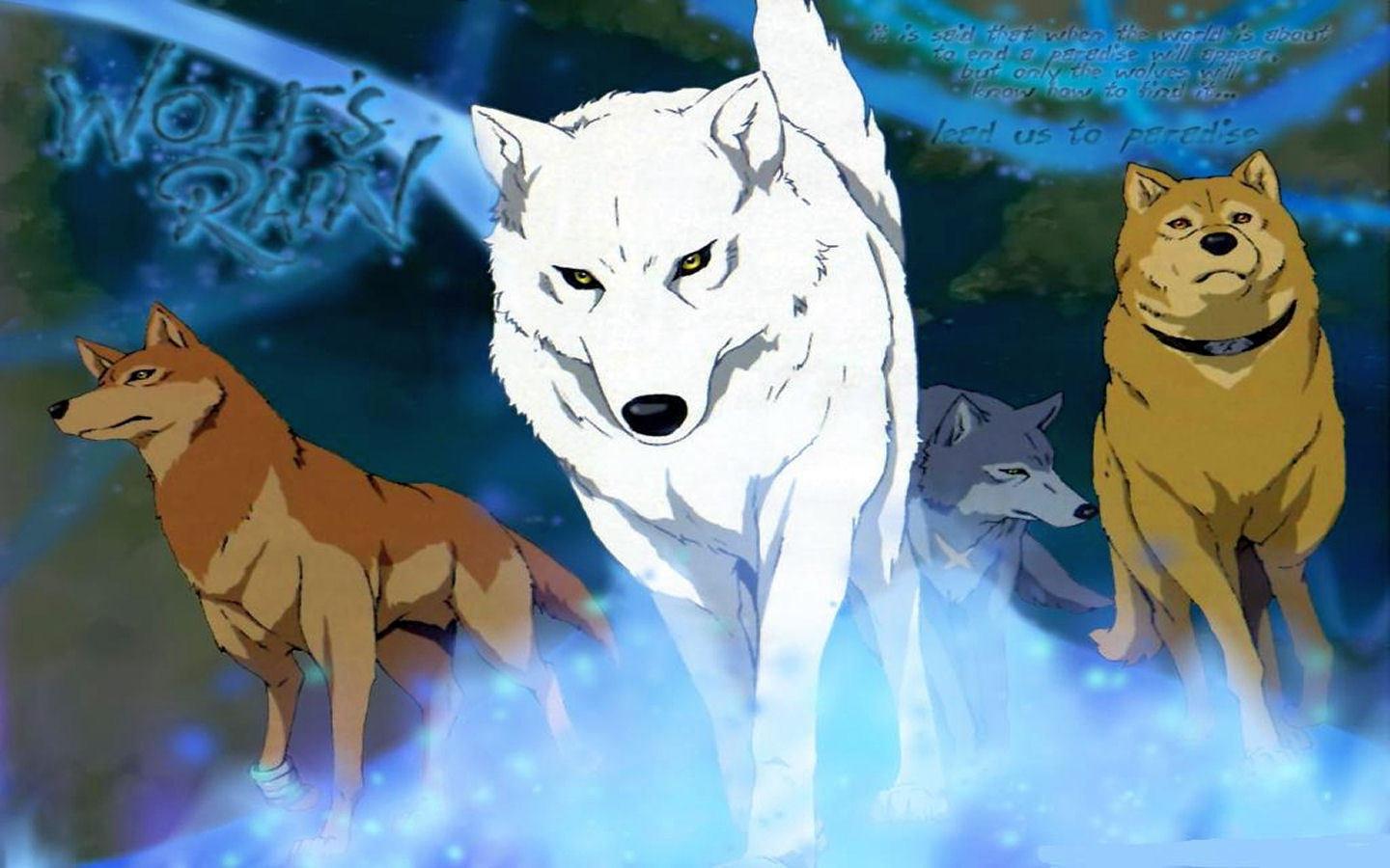 Wolf's Rain Wallpapers - Top Free Wolf's Rain Backgrounds - WallpaperAccess