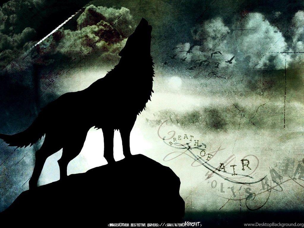 Wolf's Rain Wallpapers - Top Free Wolf's Rain Backgrounds - WallpaperAccess