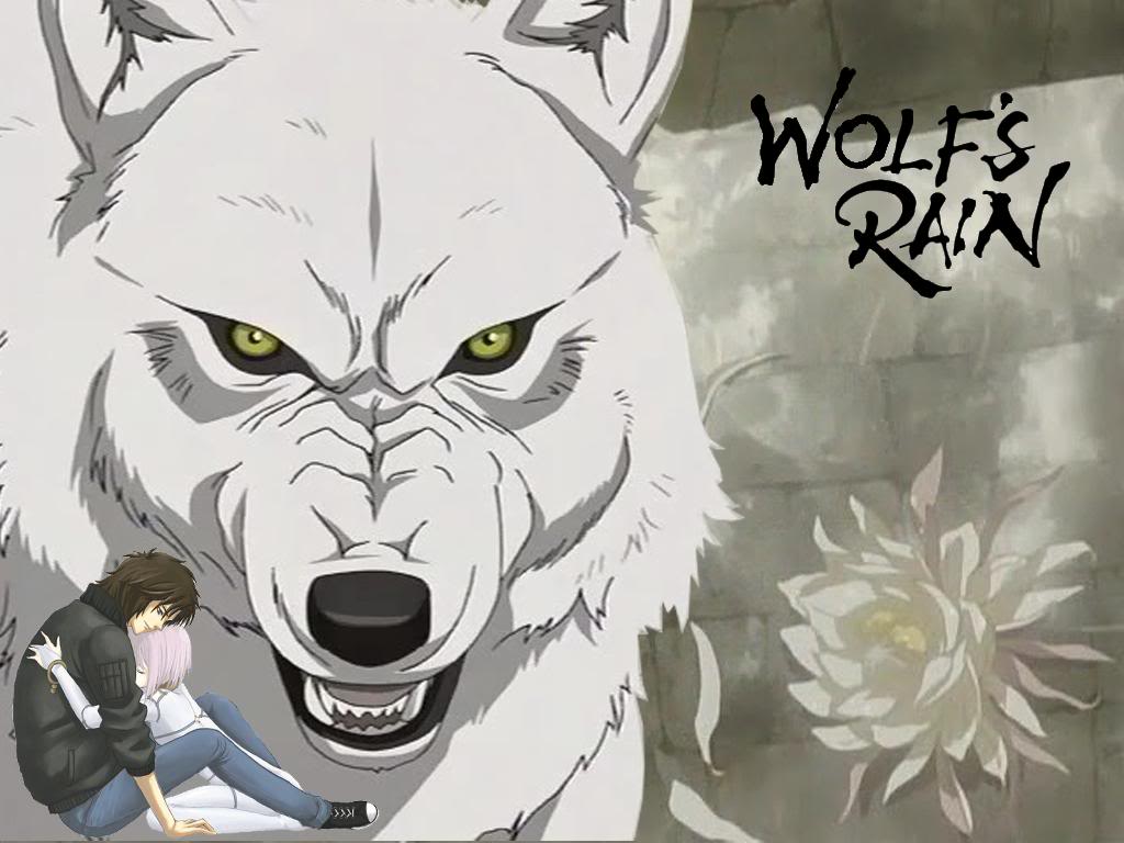 Wolf's Rain Wallpapers - Top Free Wolf's Rain Backgrounds - WallpaperAccess